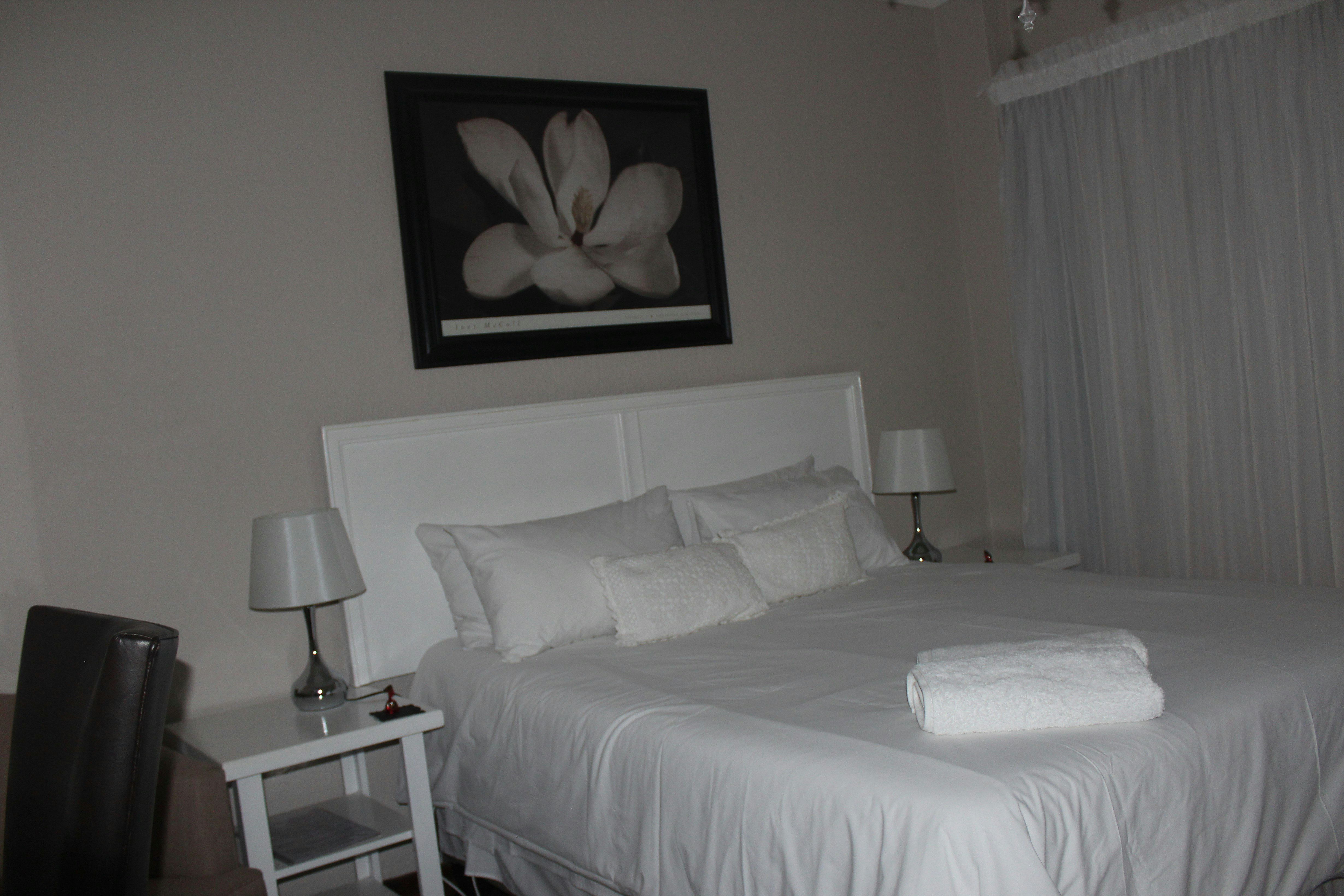 The Willow Tree Guesthouse | Rooms
