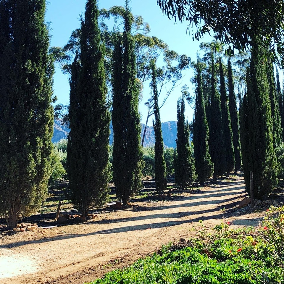 Kleinkloof Farm | Rooms