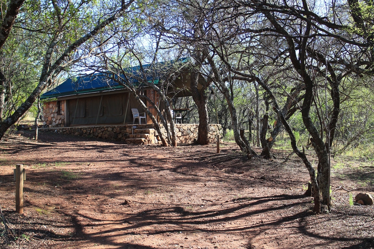 Thwane Bush Camp | LekkeSlaap