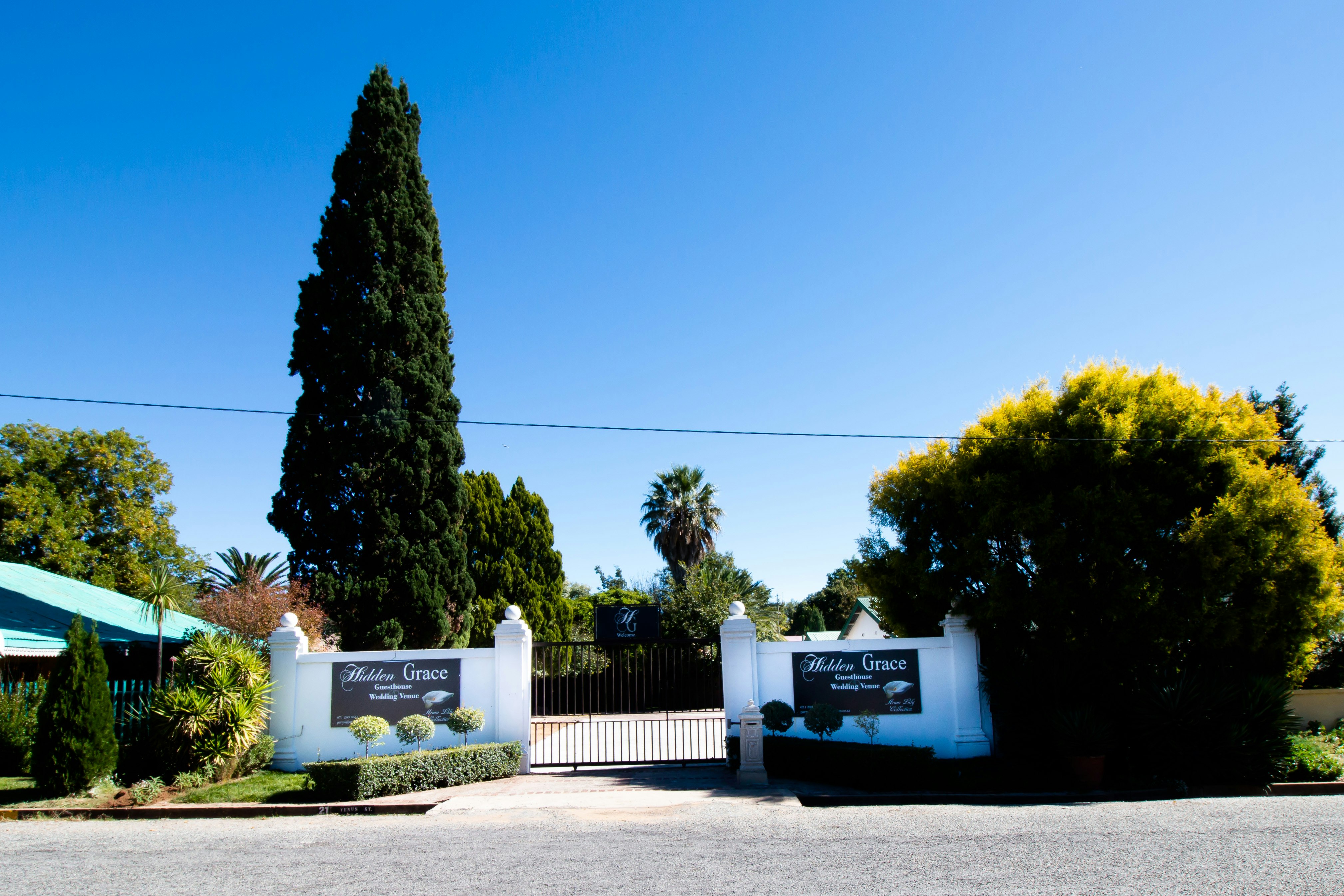 Hidden Grace | Rates