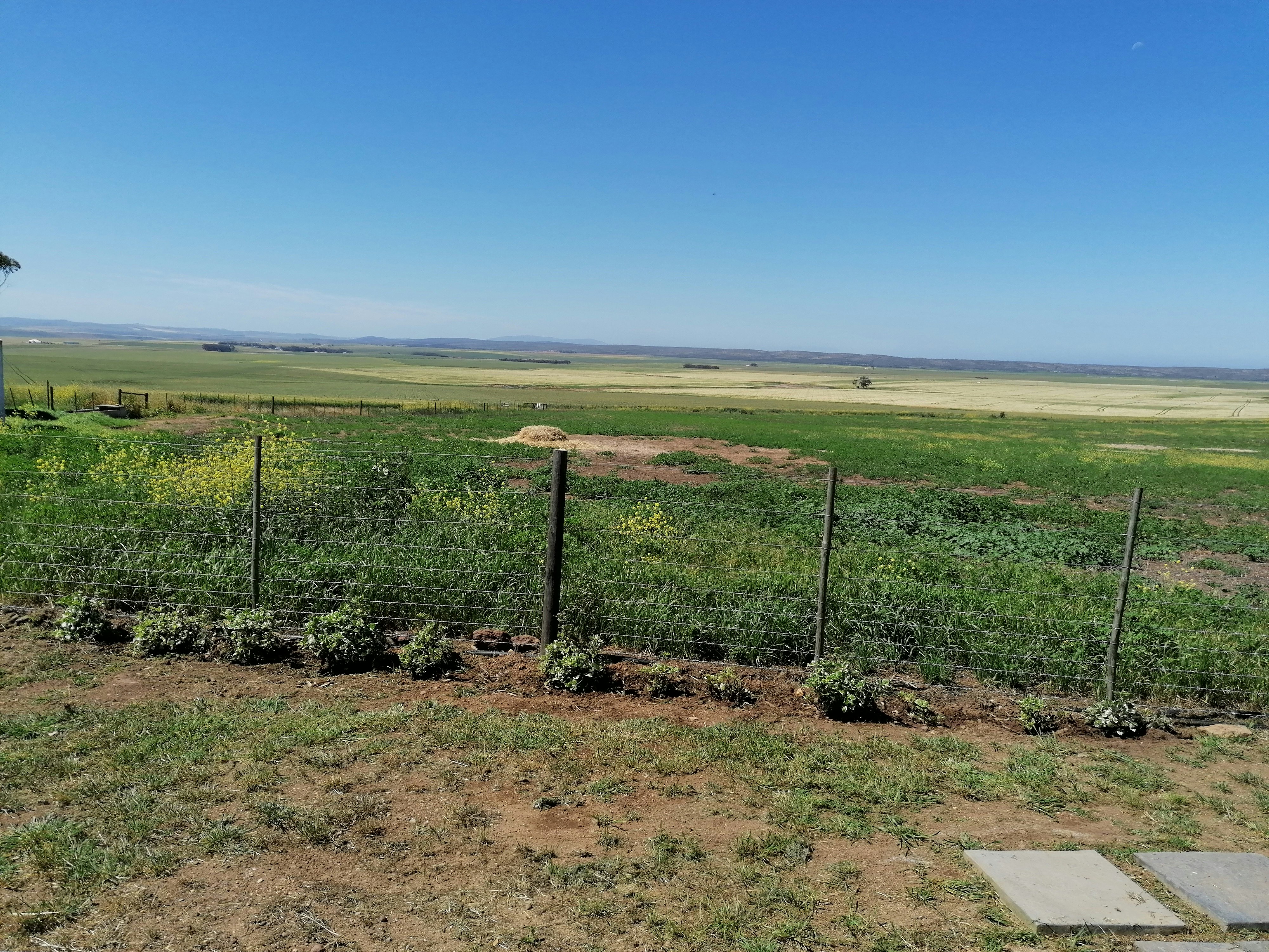 Middeldam Plaashuis | LekkeSlaap