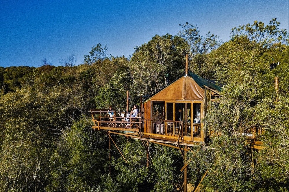 Teniqua Treetops | TravelGround