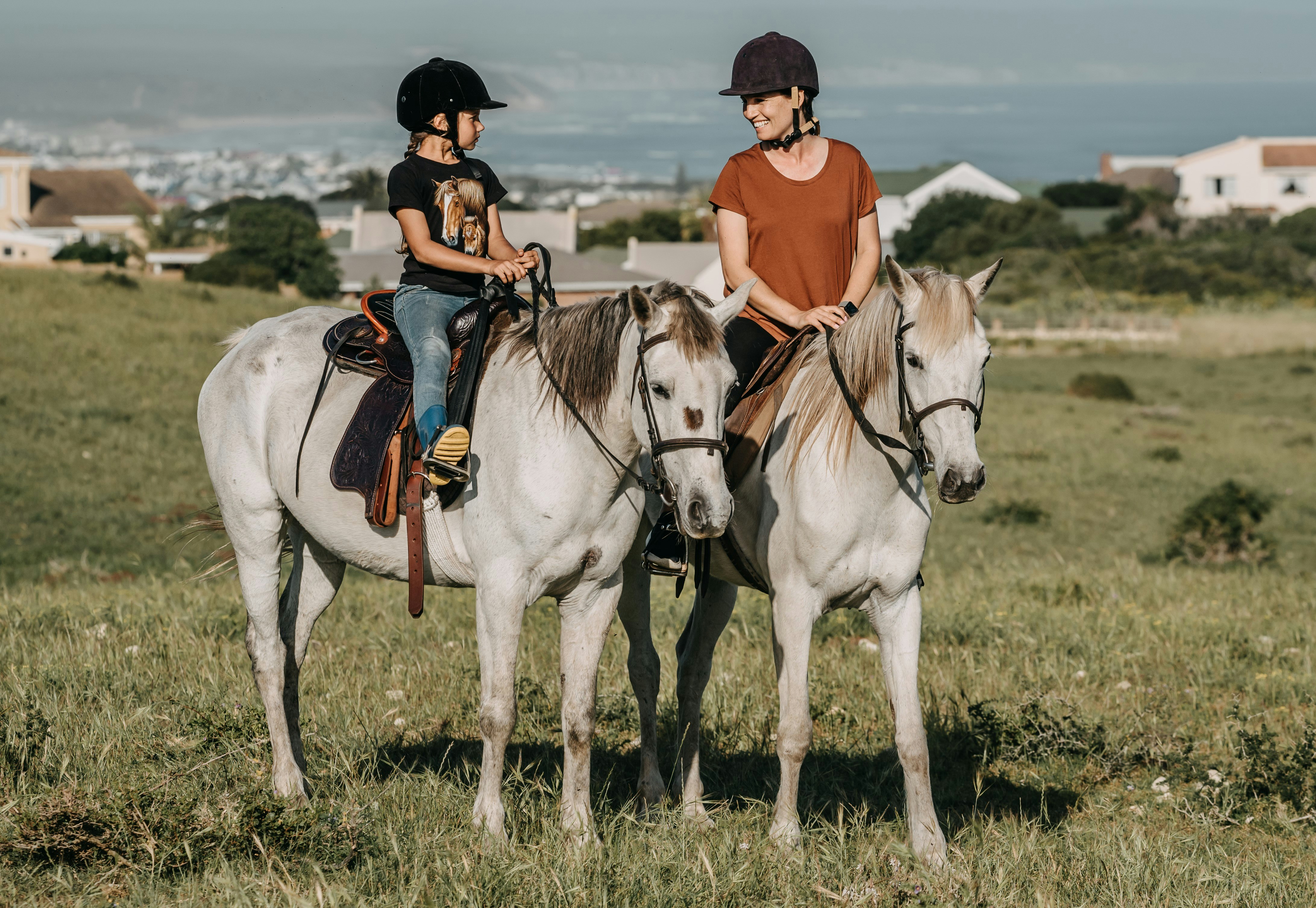 Oppi Plaas by die See | LekkeSlaap