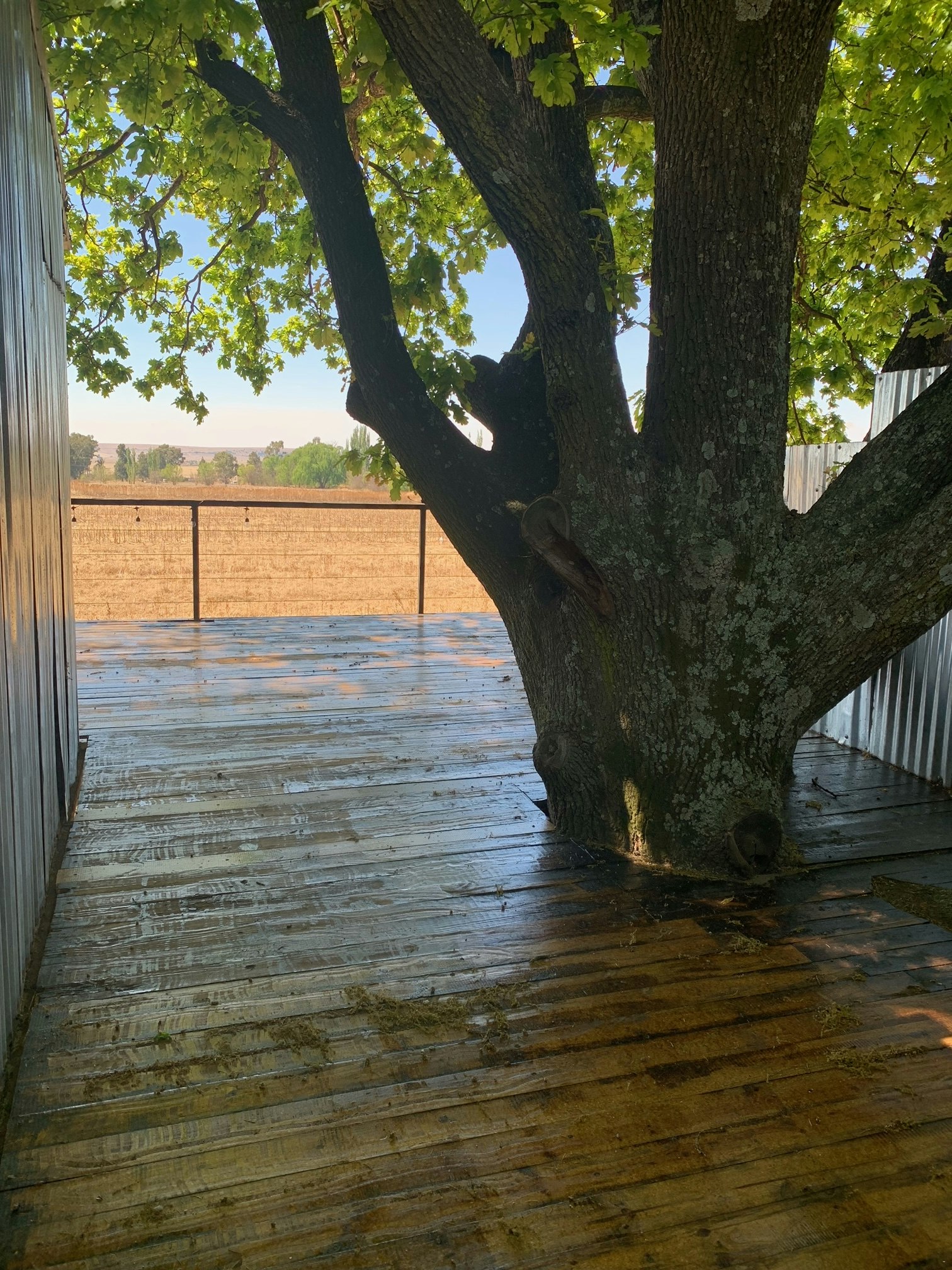 Oak Ridge | LekkeSlaap