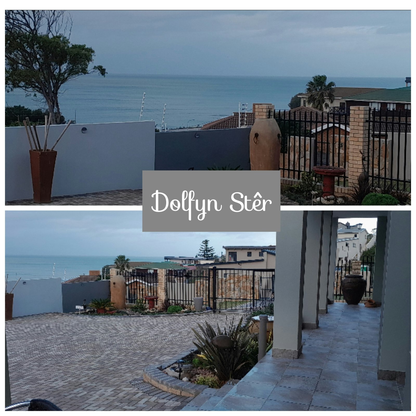 Dolfyn Stêr | LekkeSlaap