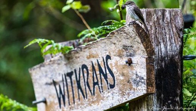 Witkrans Farm | LekkeSlaap