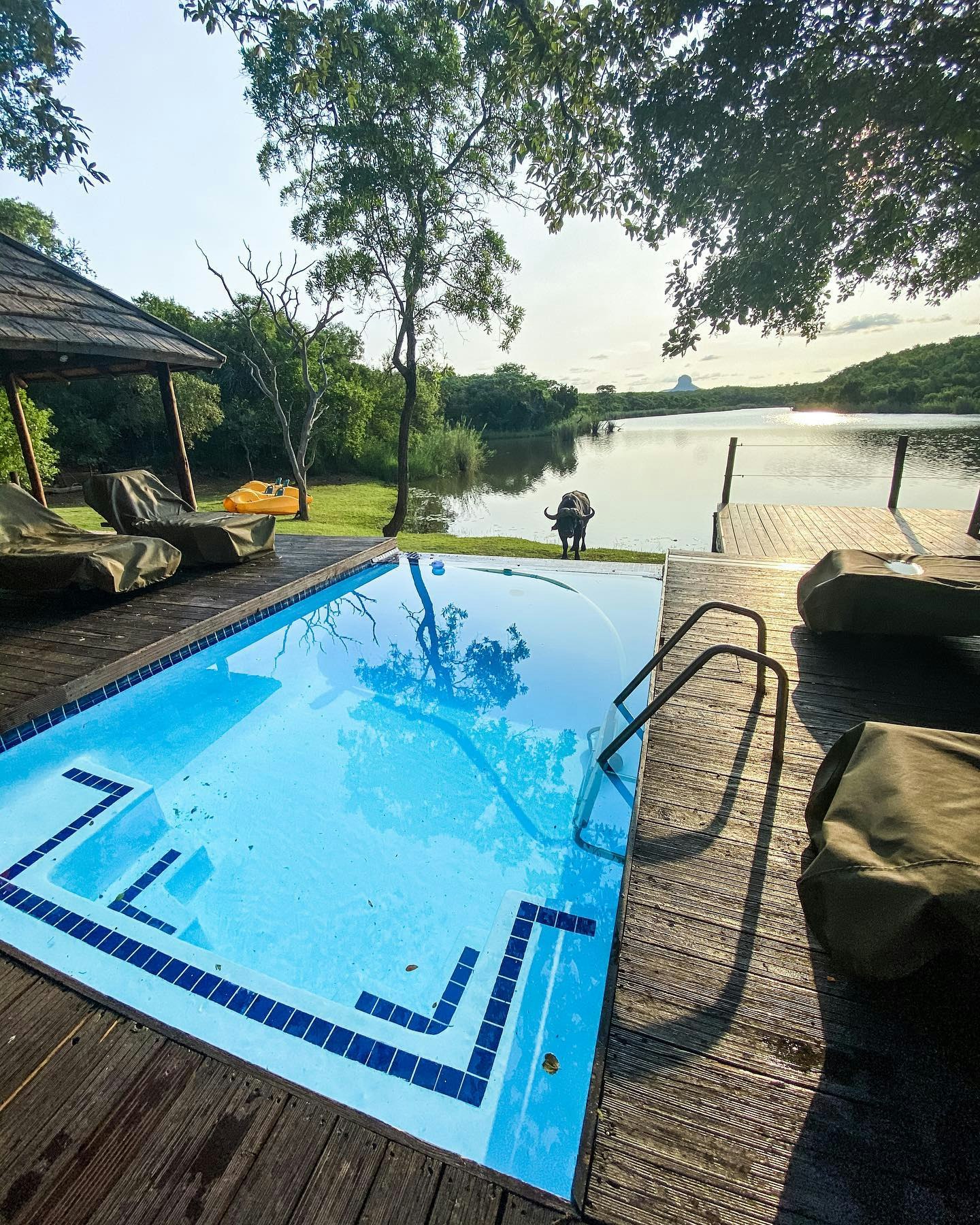 Matla Noka Safari Tented Camp | LekkeSlaap