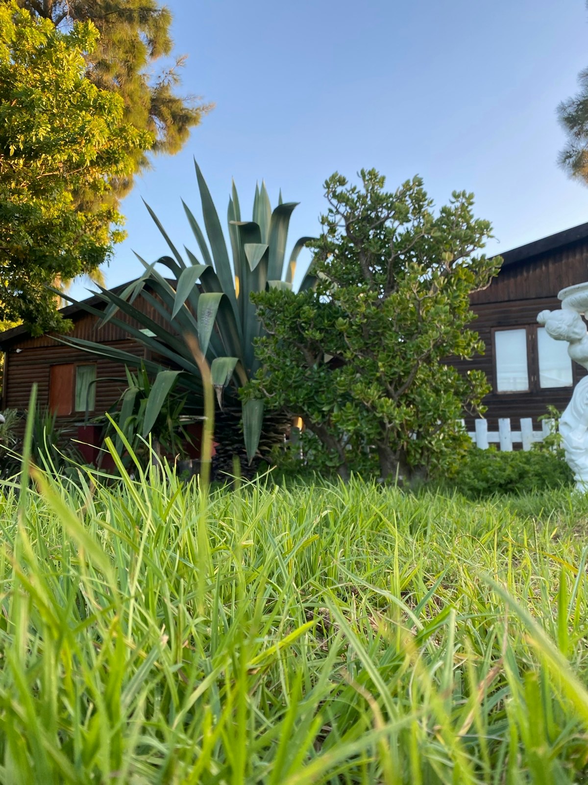 Hopefield Garden Lodge | TravelGround