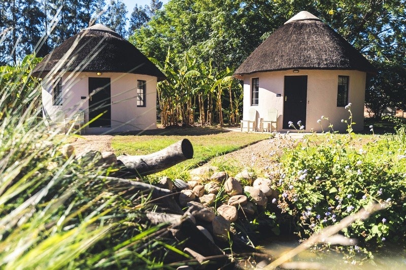 Addo African Home, Restaurant and Safari | LekkeSlaap