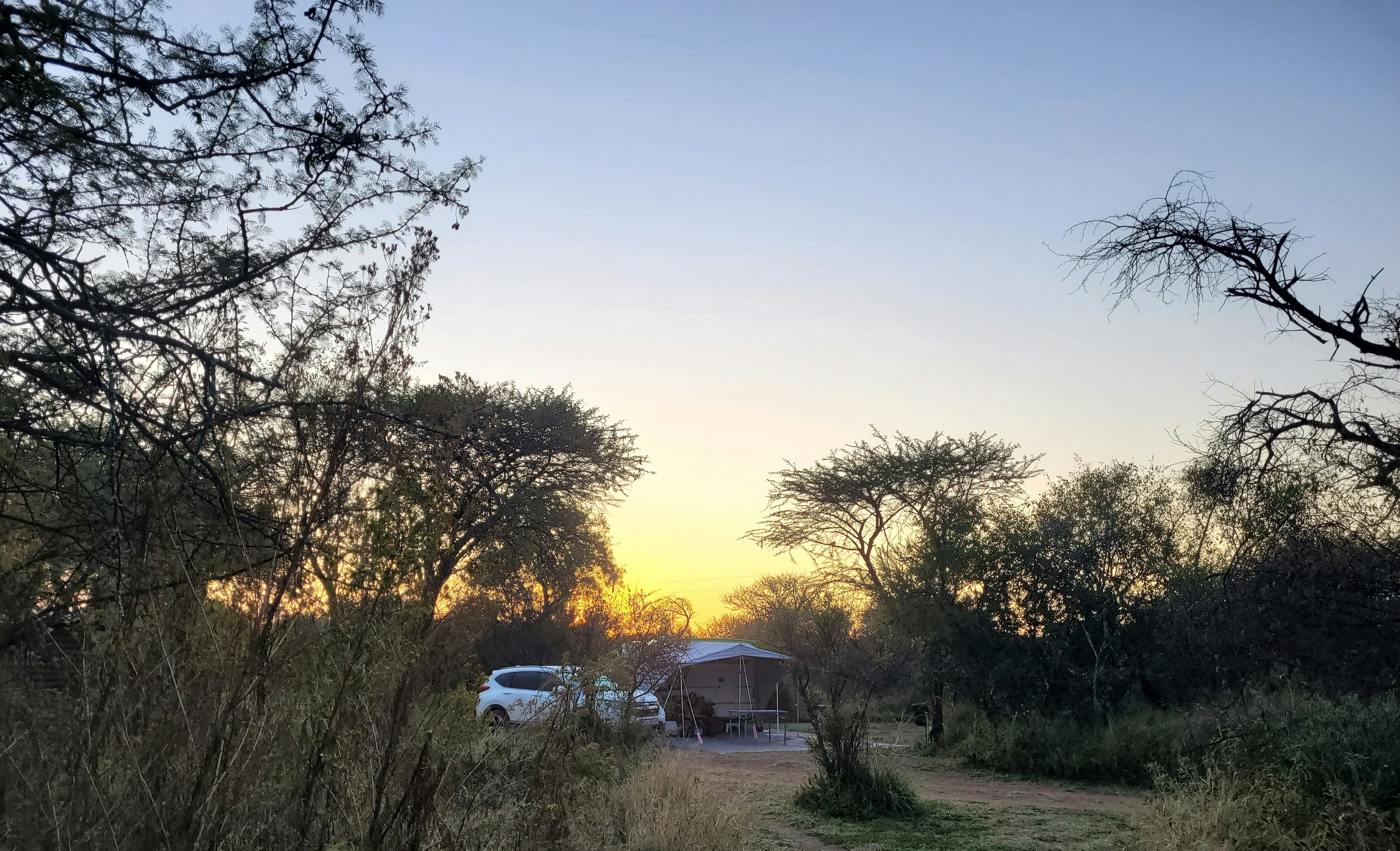 Thorn Tree Bush Camp - Tented Camps and Campsites | Rooms