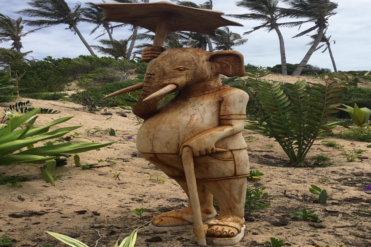 Vista Bonita Eco Lodge | Rooms