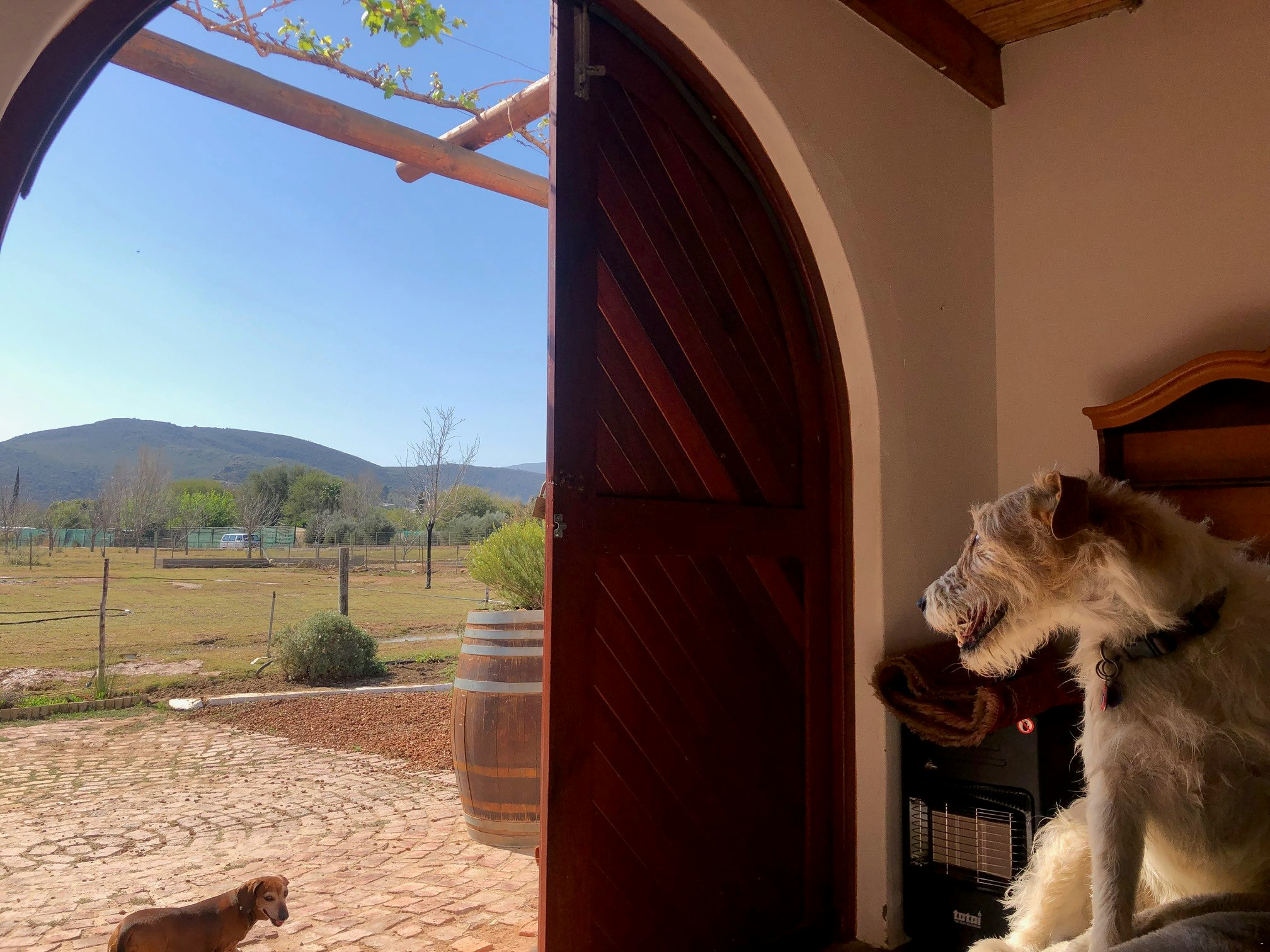 Alpaca Inn | LekkeSlaap