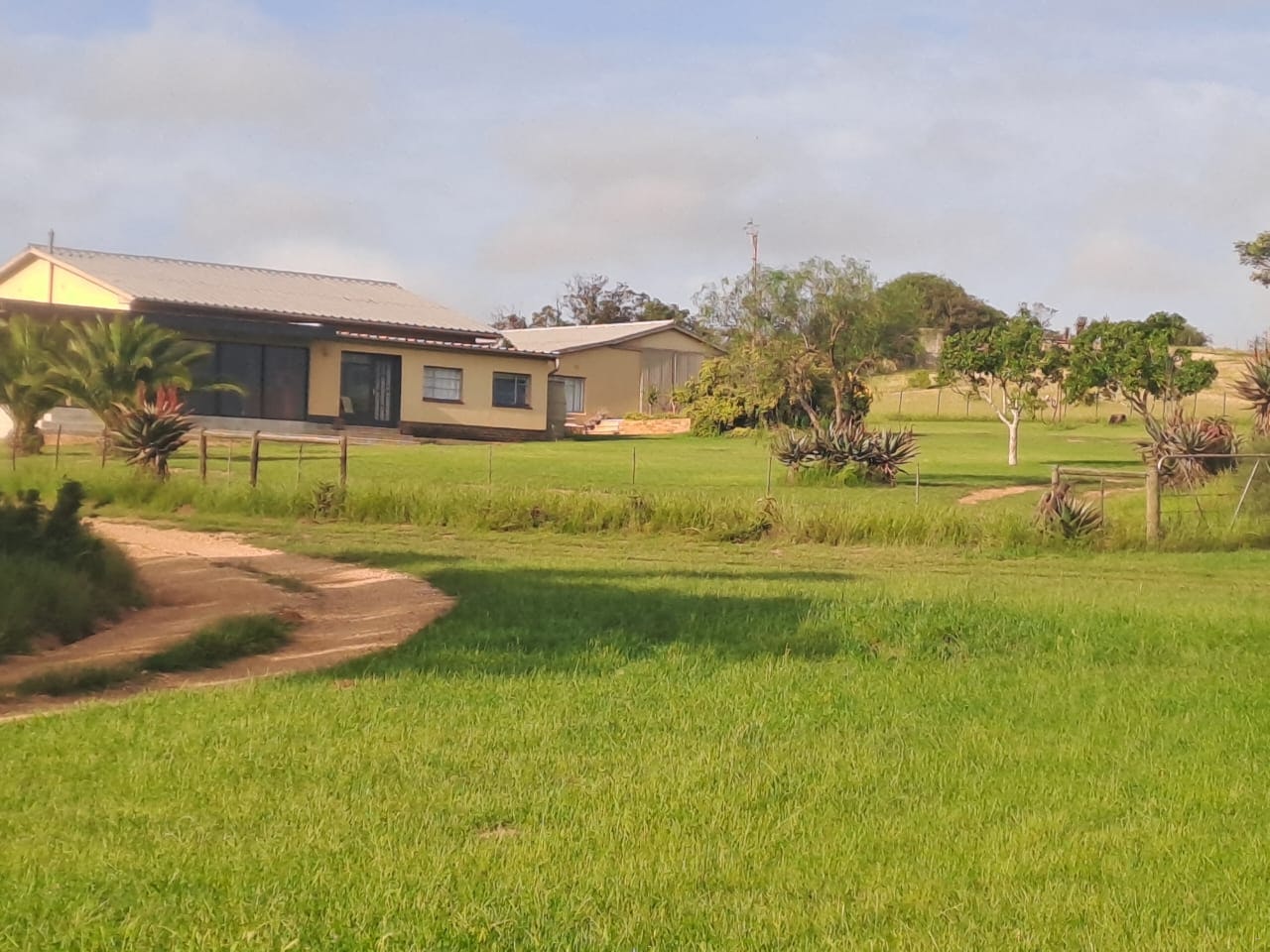 Manna Crodini | LekkeSlaap