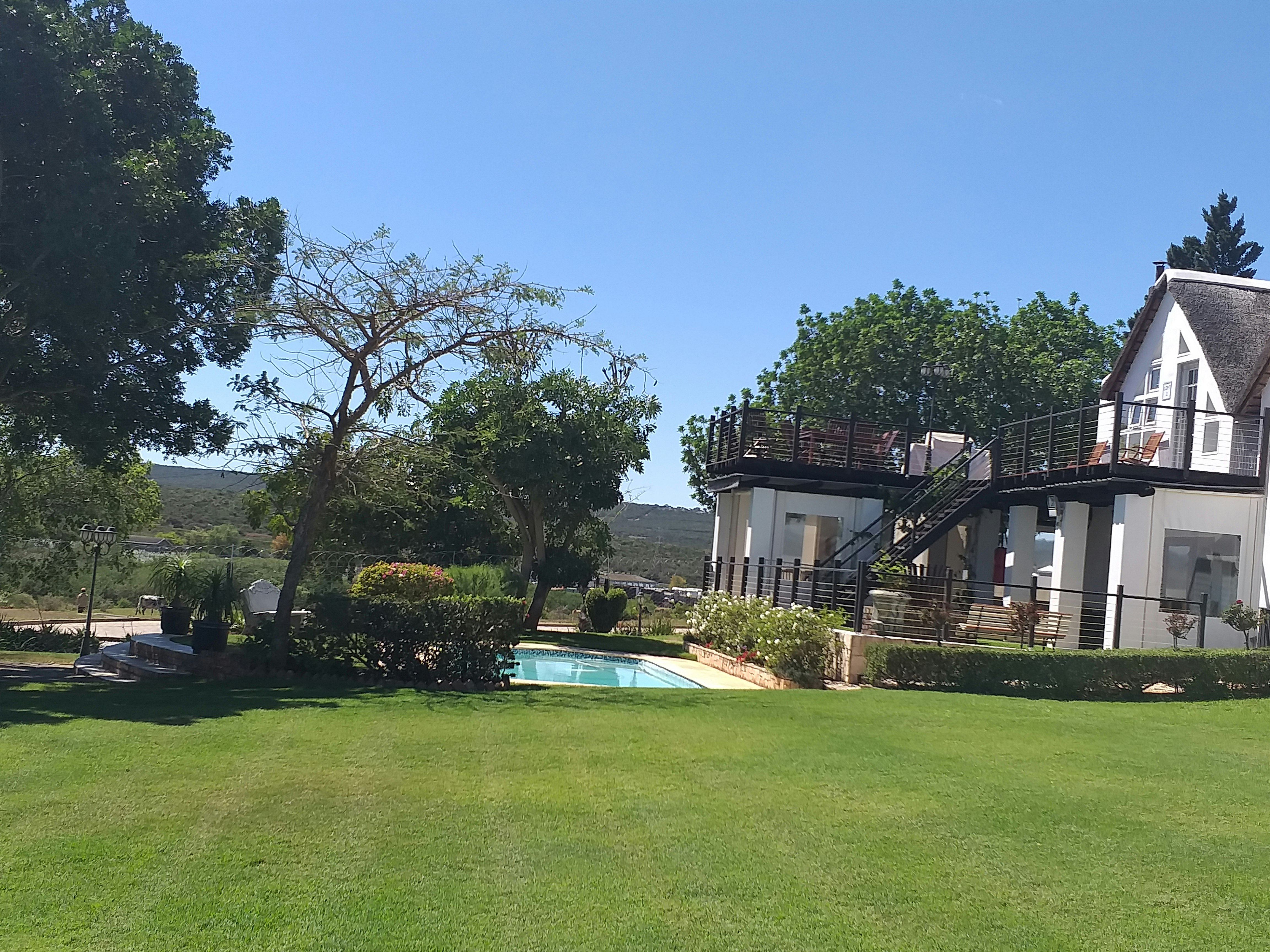 Little Tree Loft | LekkeSlaap