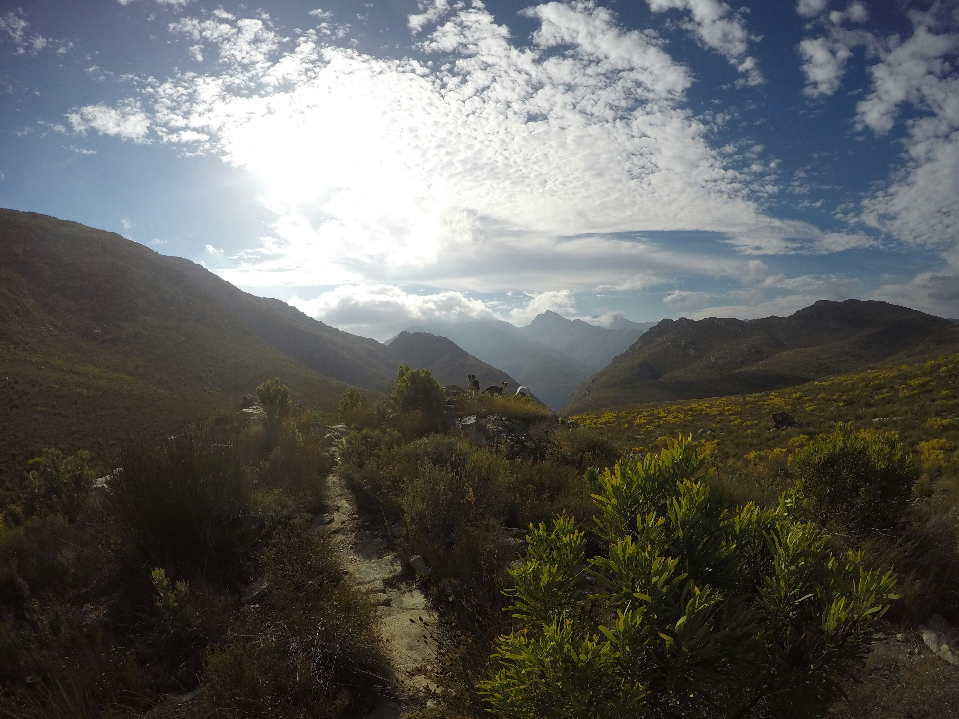 Simonskloof Mountain Retreat Camping | LekkeSlaap