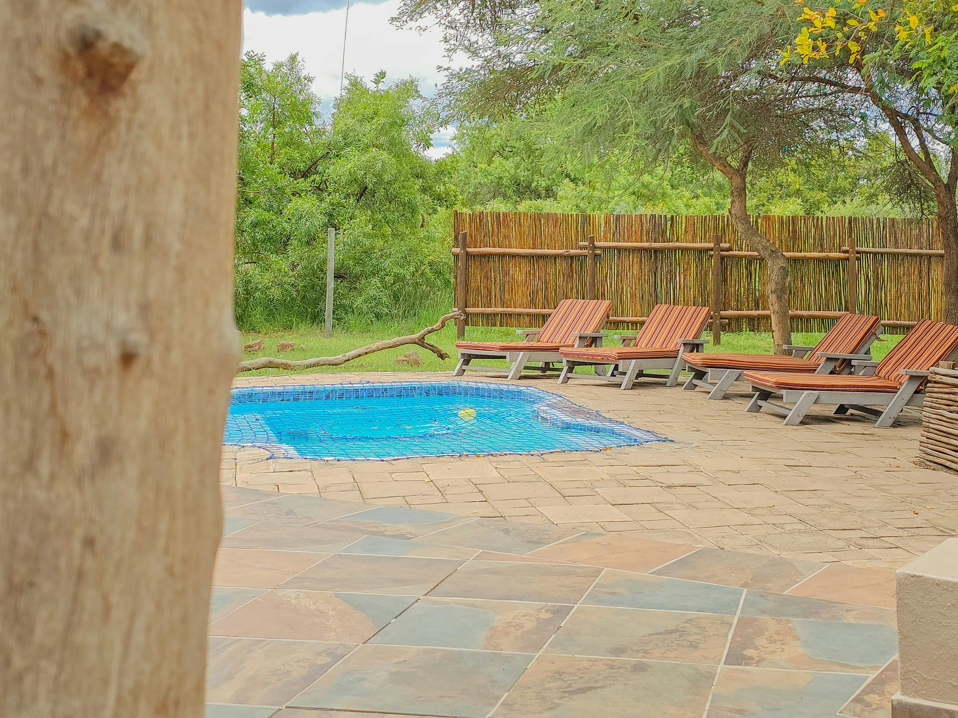 Meerkat Manor @ Zebula | LekkeSlaap