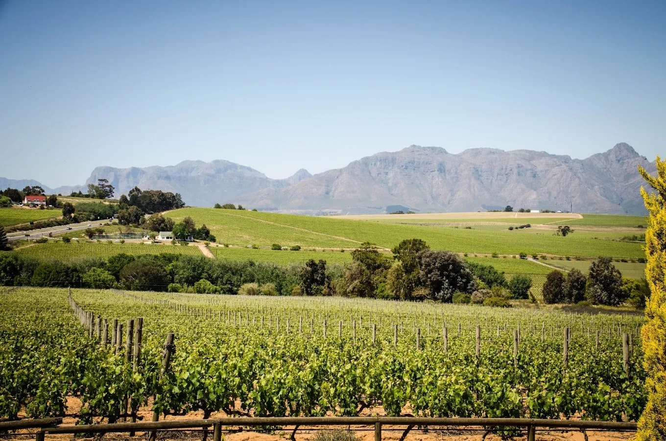 Lavinia Lifestyle | Rates