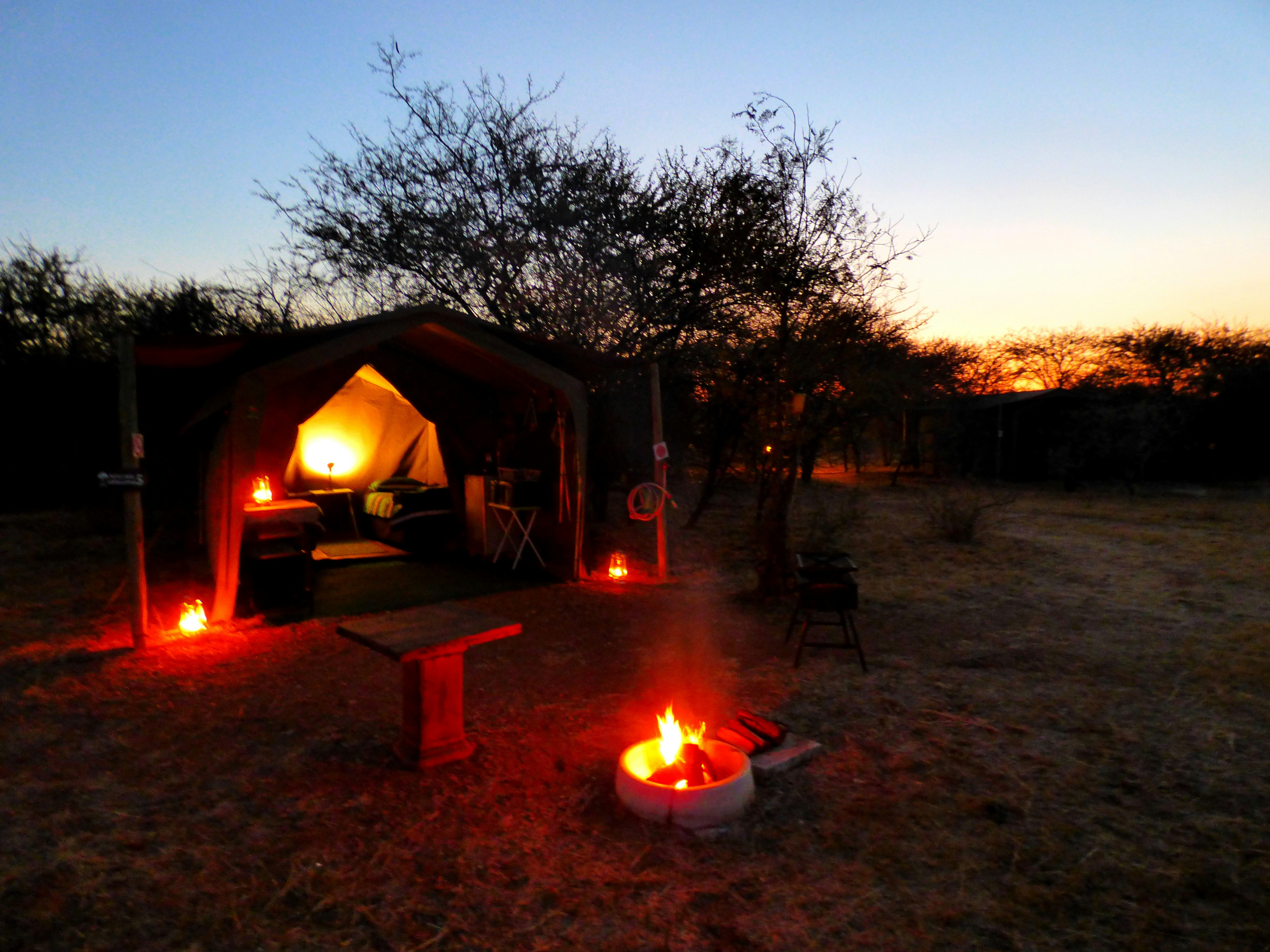 Thorn Tree Bush Camp - Tented Camps and Campsites | Rooms