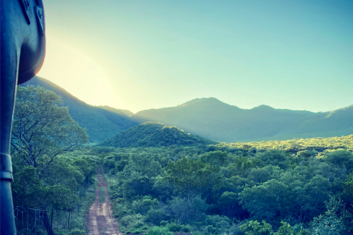 Grootfontein Private Nature Reserve | Rooms