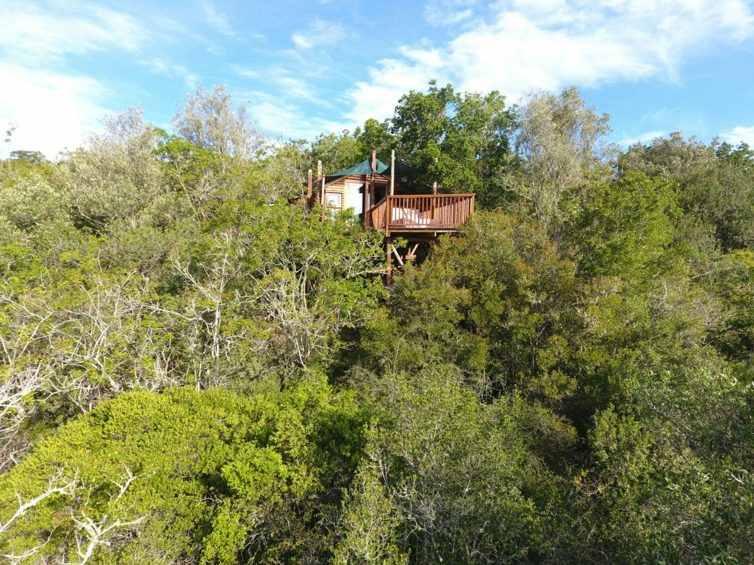 Teniqua Treetops | TravelGround