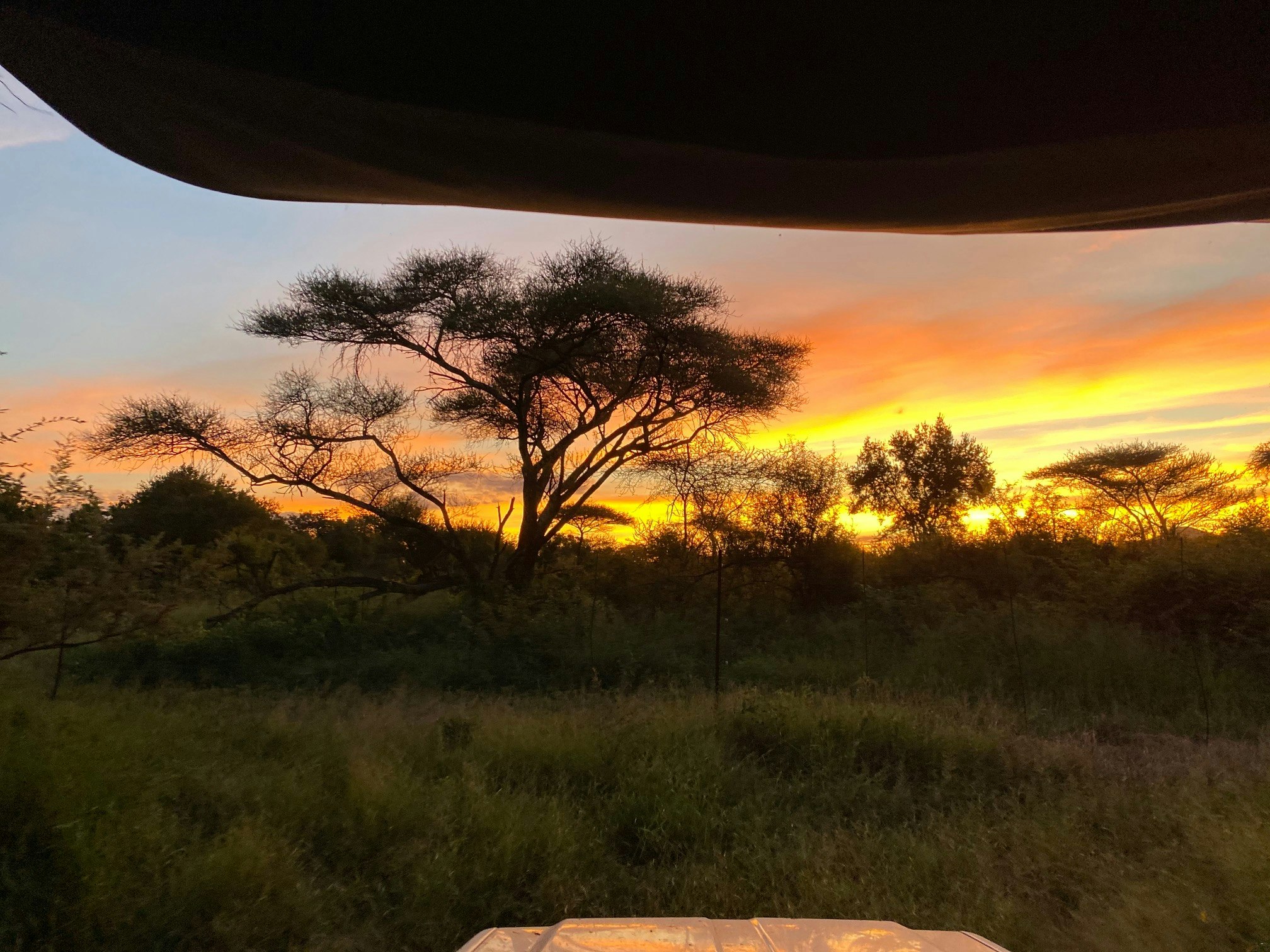 Selati River Ruins Camp and Lodge | LekkeSlaap