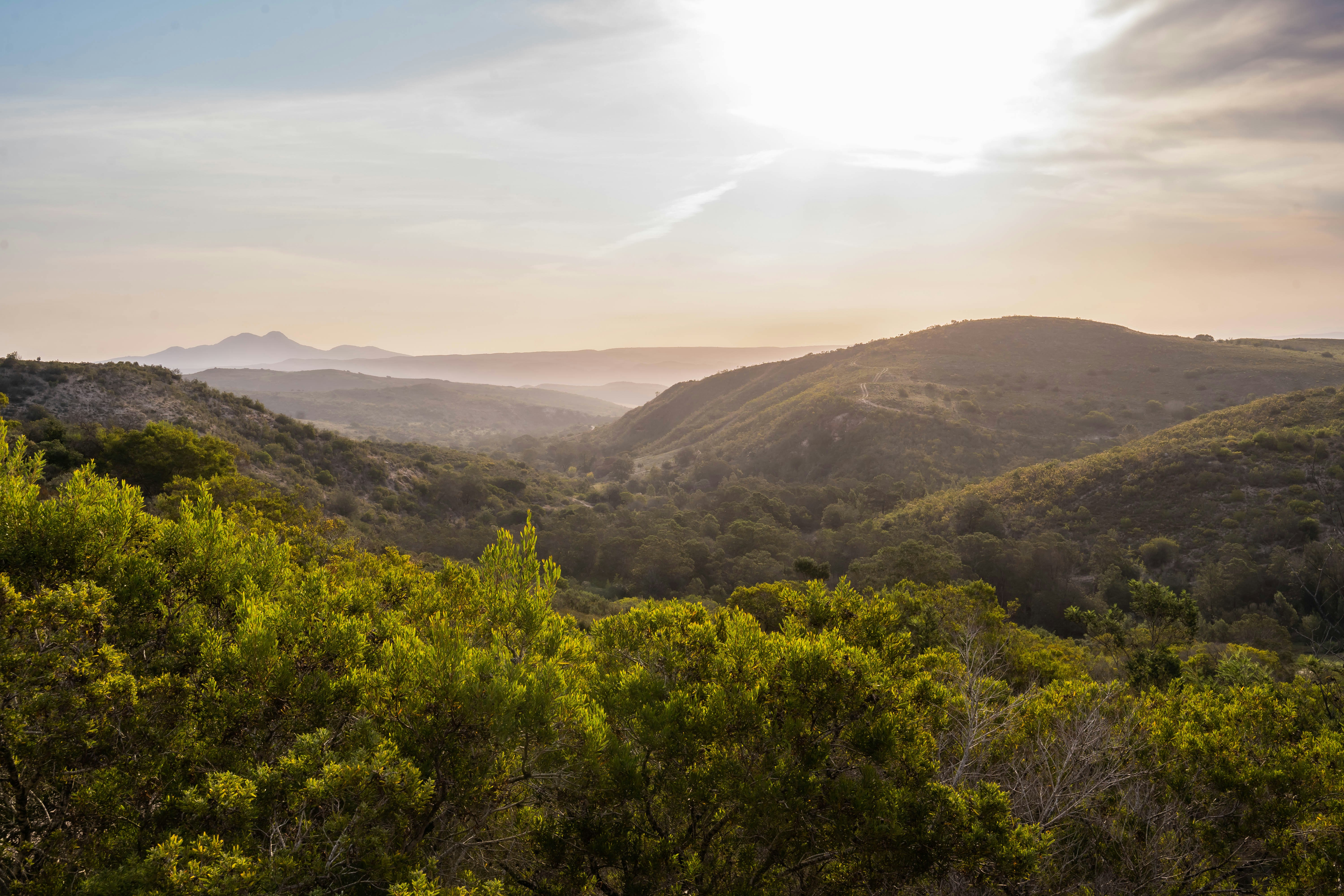 Pabala Private Nature Reserve | LekkeSlaap