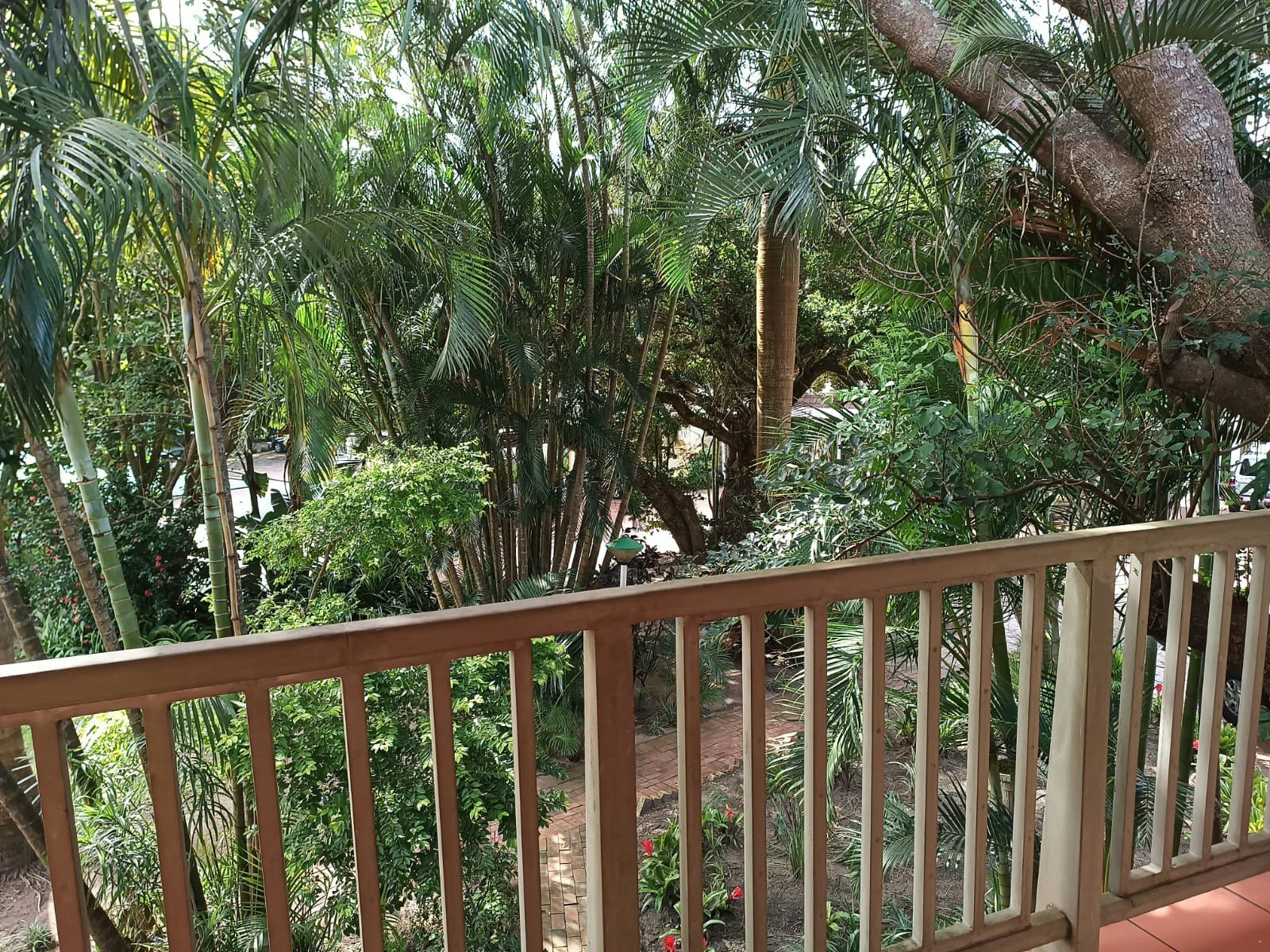 La Renee | LekkeSlaap