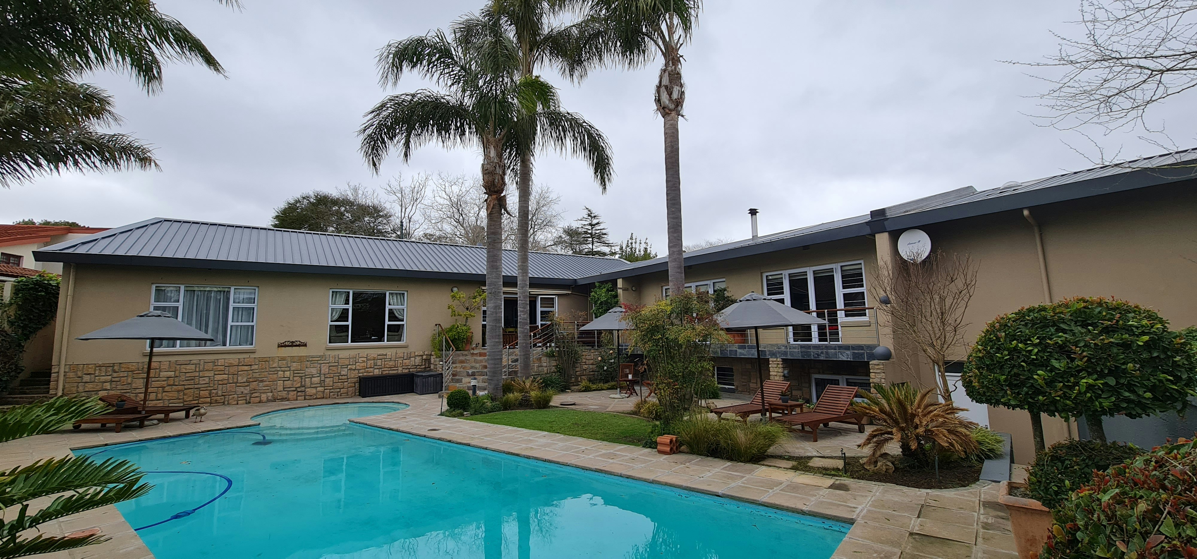 Kolgans | LekkeSlaap