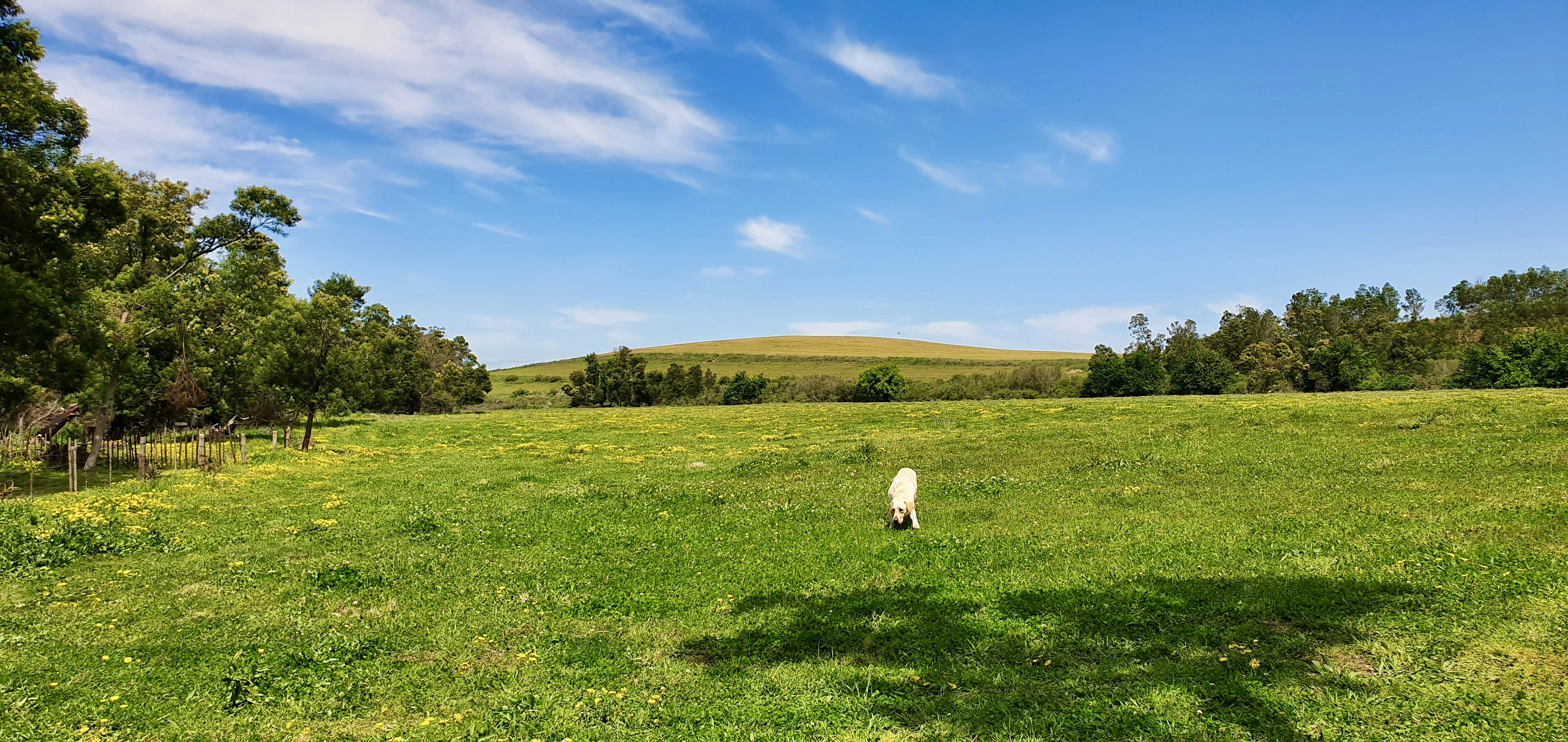Kromrivier Farm Dam Campsite | TravelGround