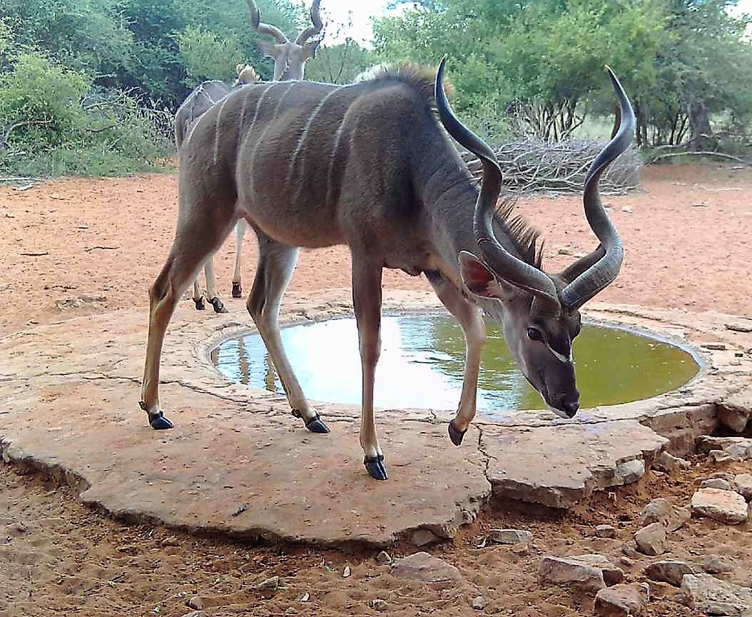 Gamagara Africa Private Nature Reserve | LekkeSlaap