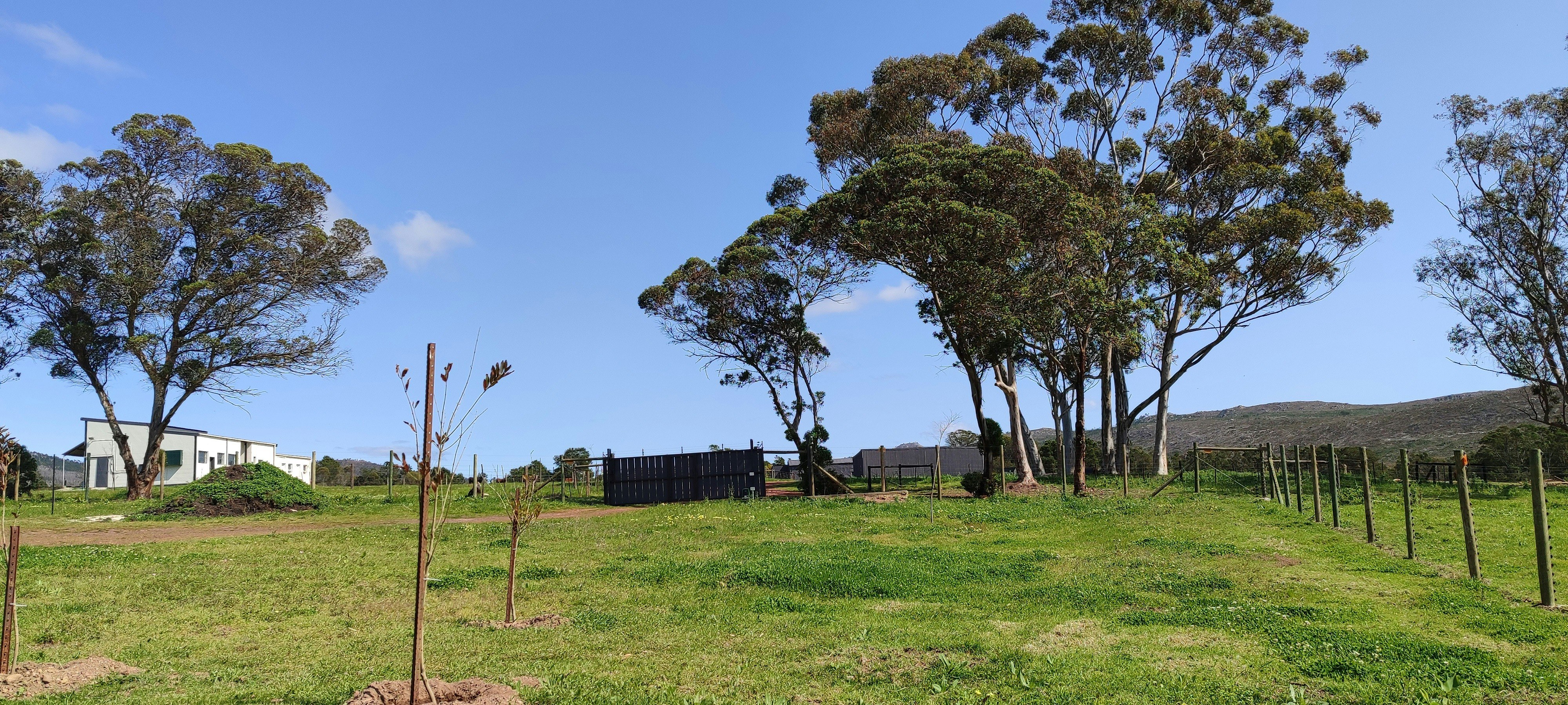 Magdala Guest Farm | LekkeSlaap