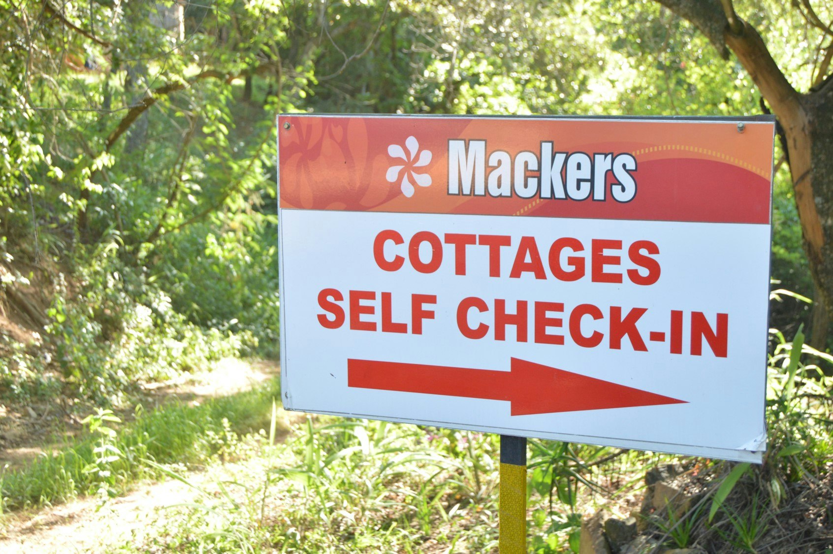 Mackers | LekkeSlaap