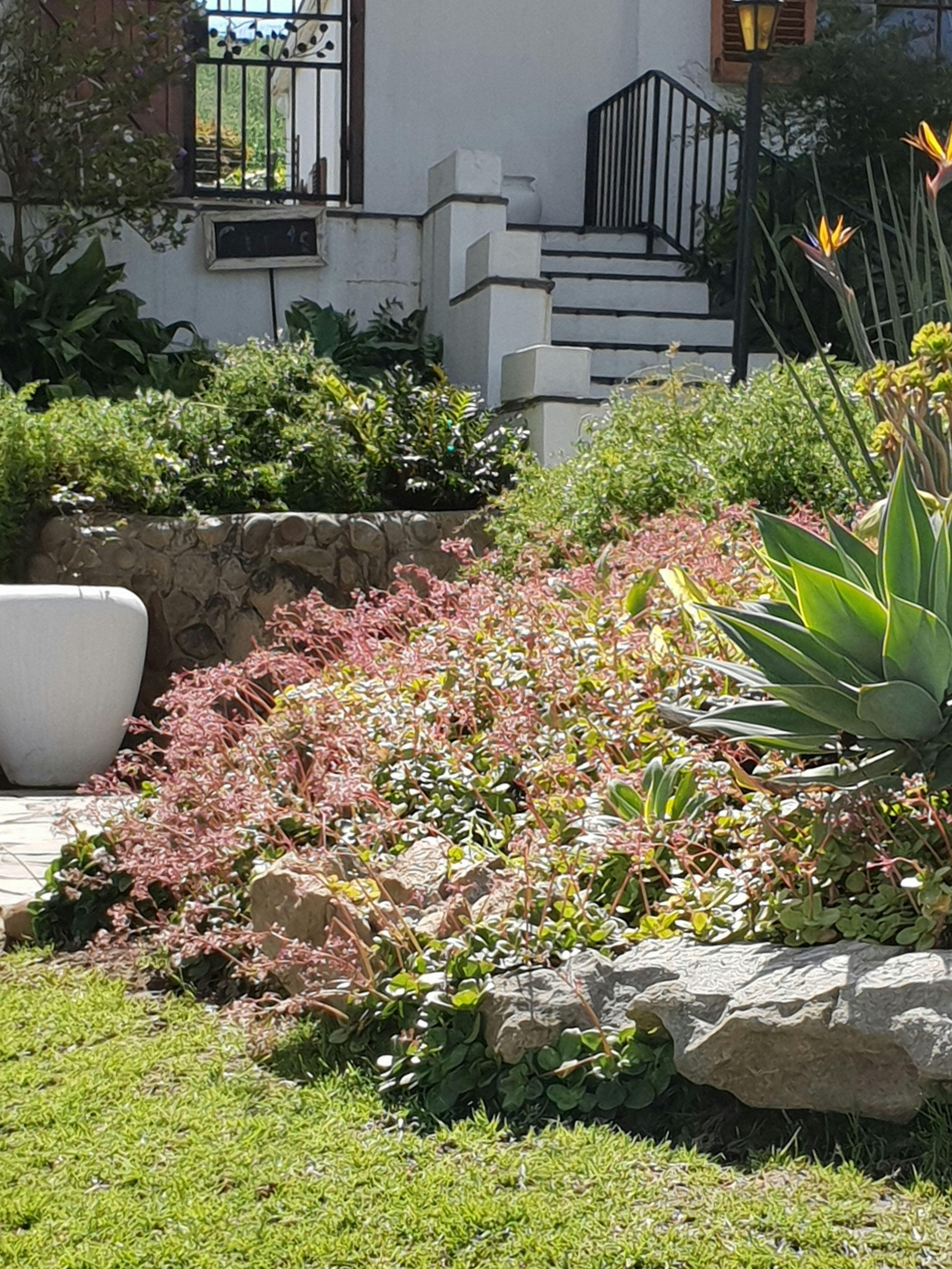 Stellenbosch Akkommodasie - LekkeSlaap