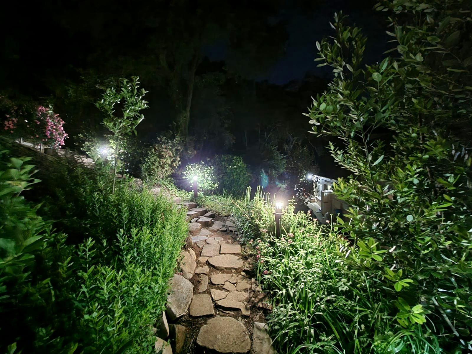 Never Daunted | LekkeSlaap