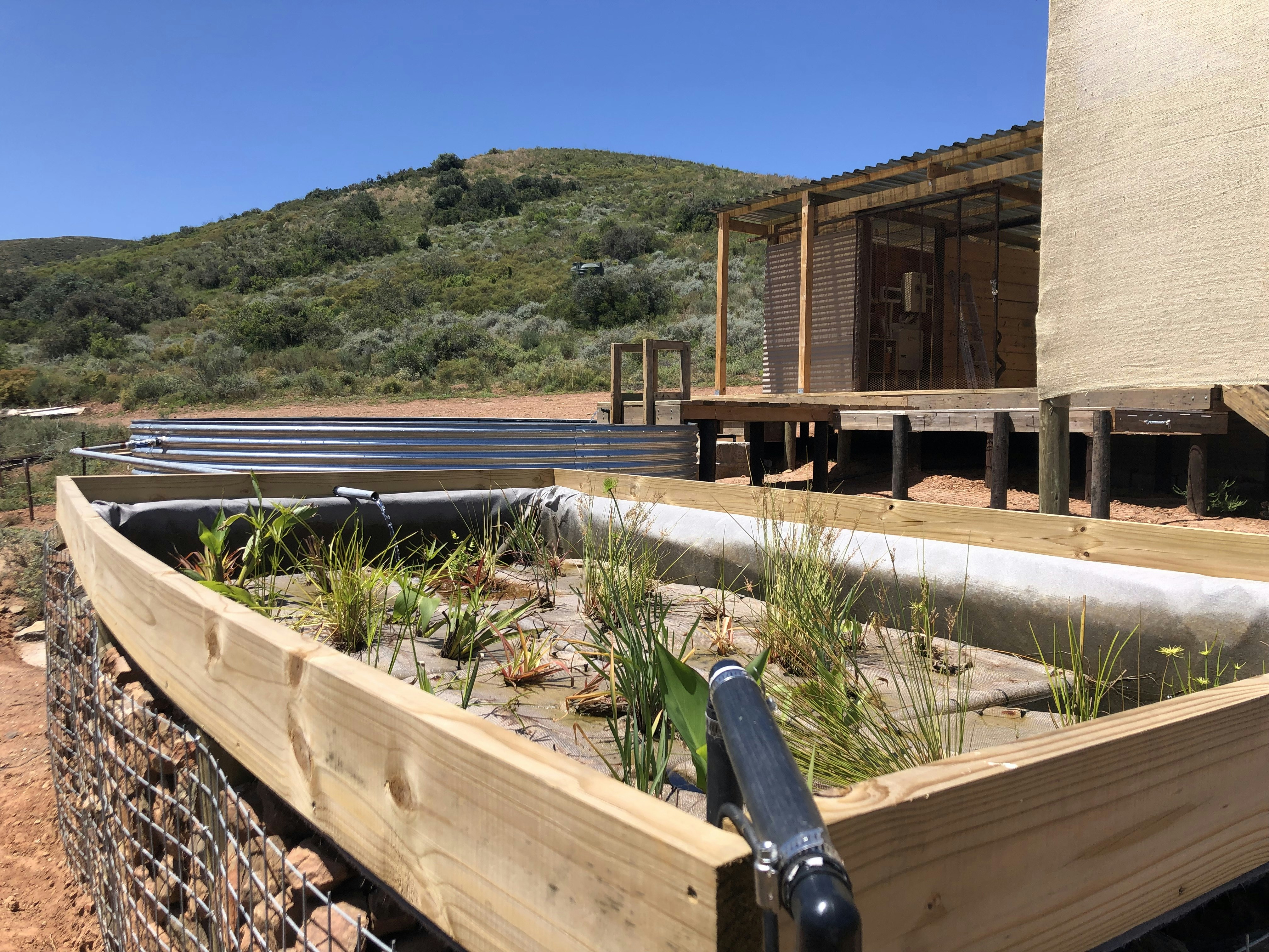 Rapha Eco Bushcamp | Rooms