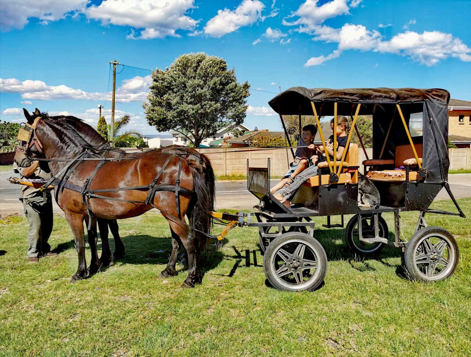 Oppi Plaas by die See | LekkeSlaap