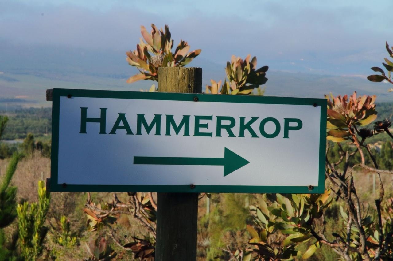 Gratedean Barton Villas | Rooms