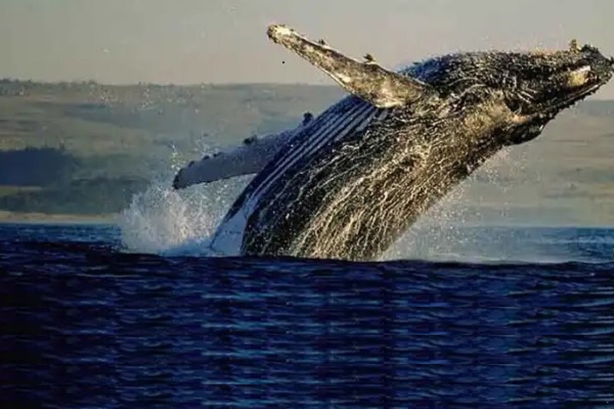 Iets Nuuts | LekkeSlaap