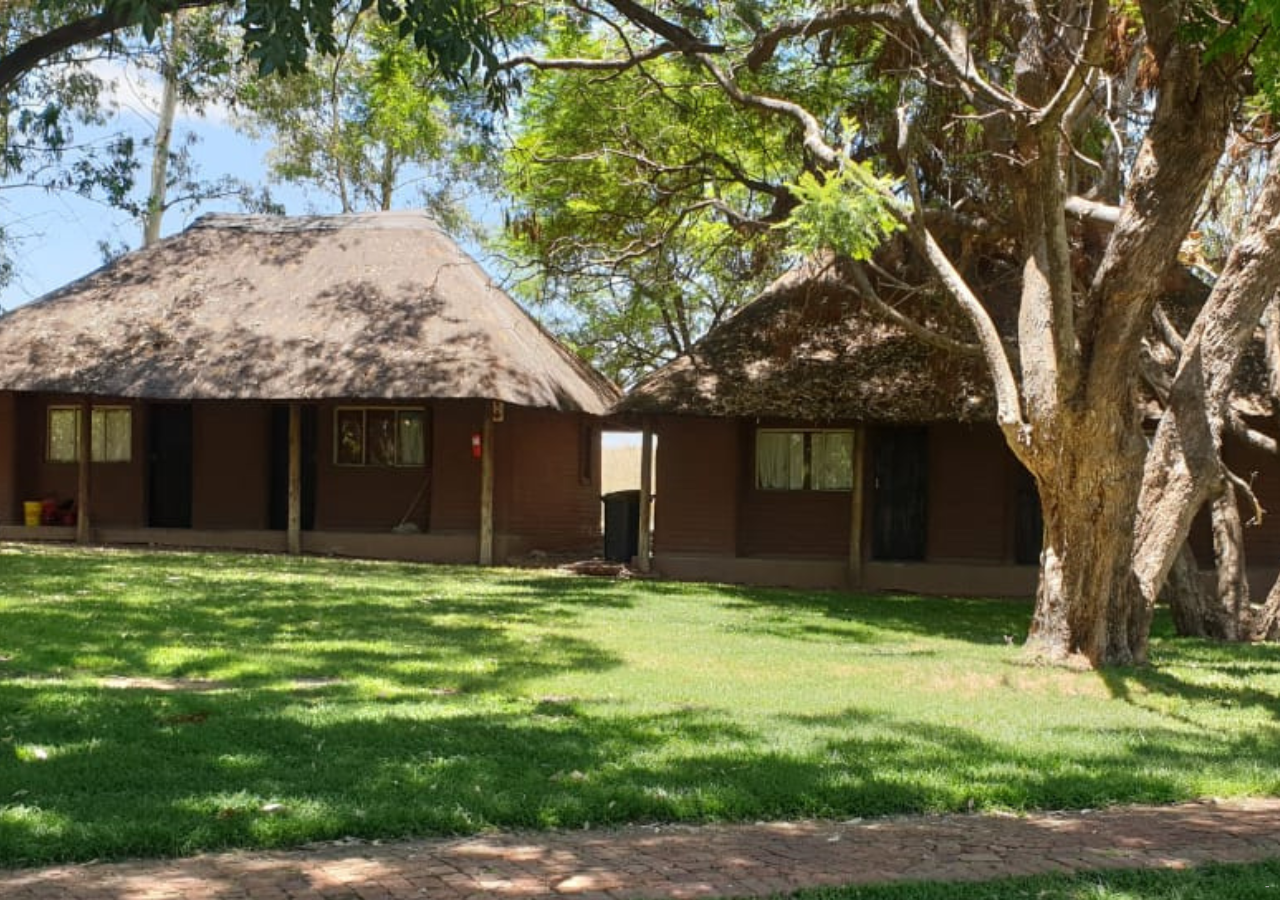 Dingane | LekkeSlaap