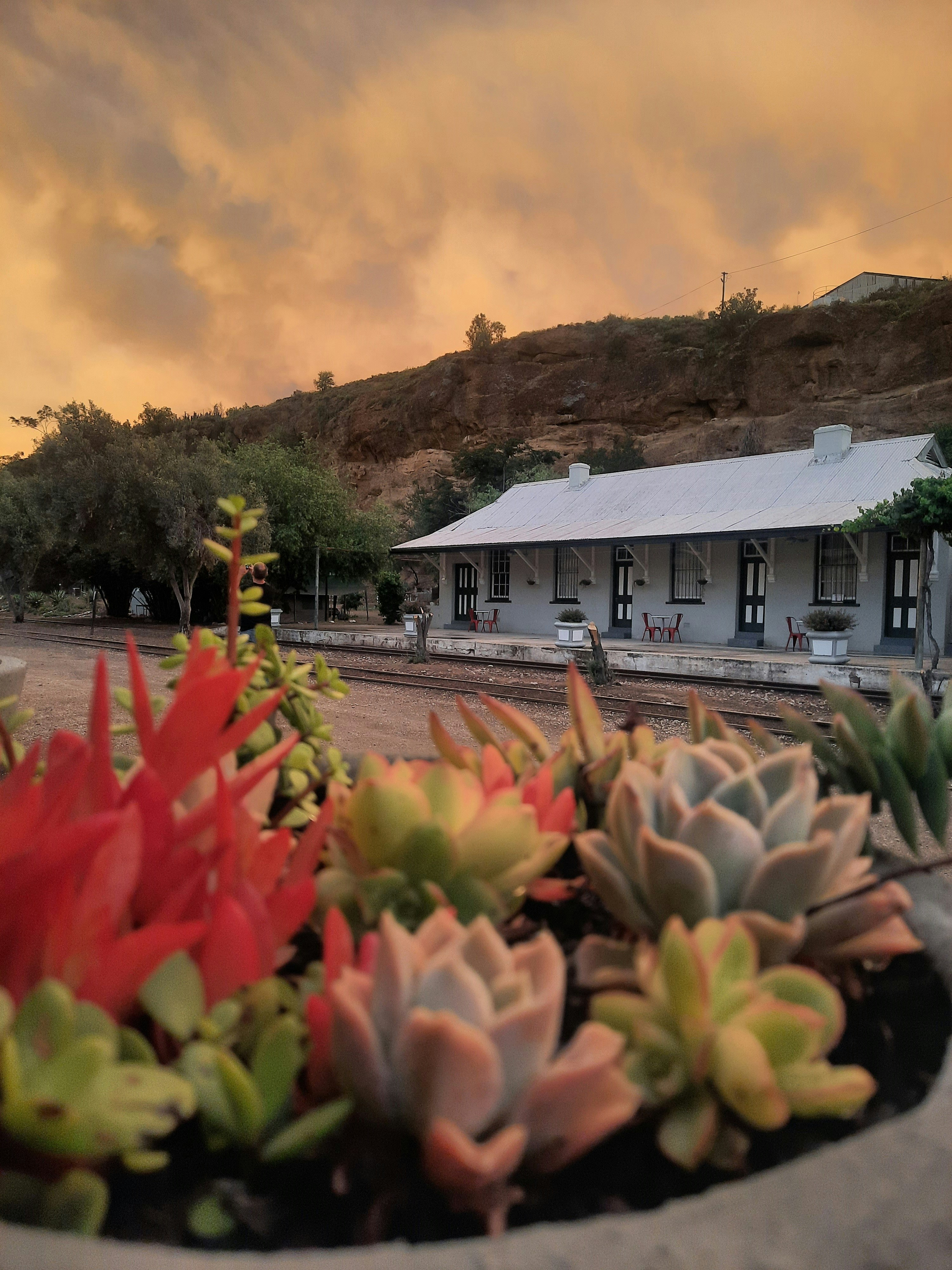 The Station Calitzdorp | LekkeSlaap