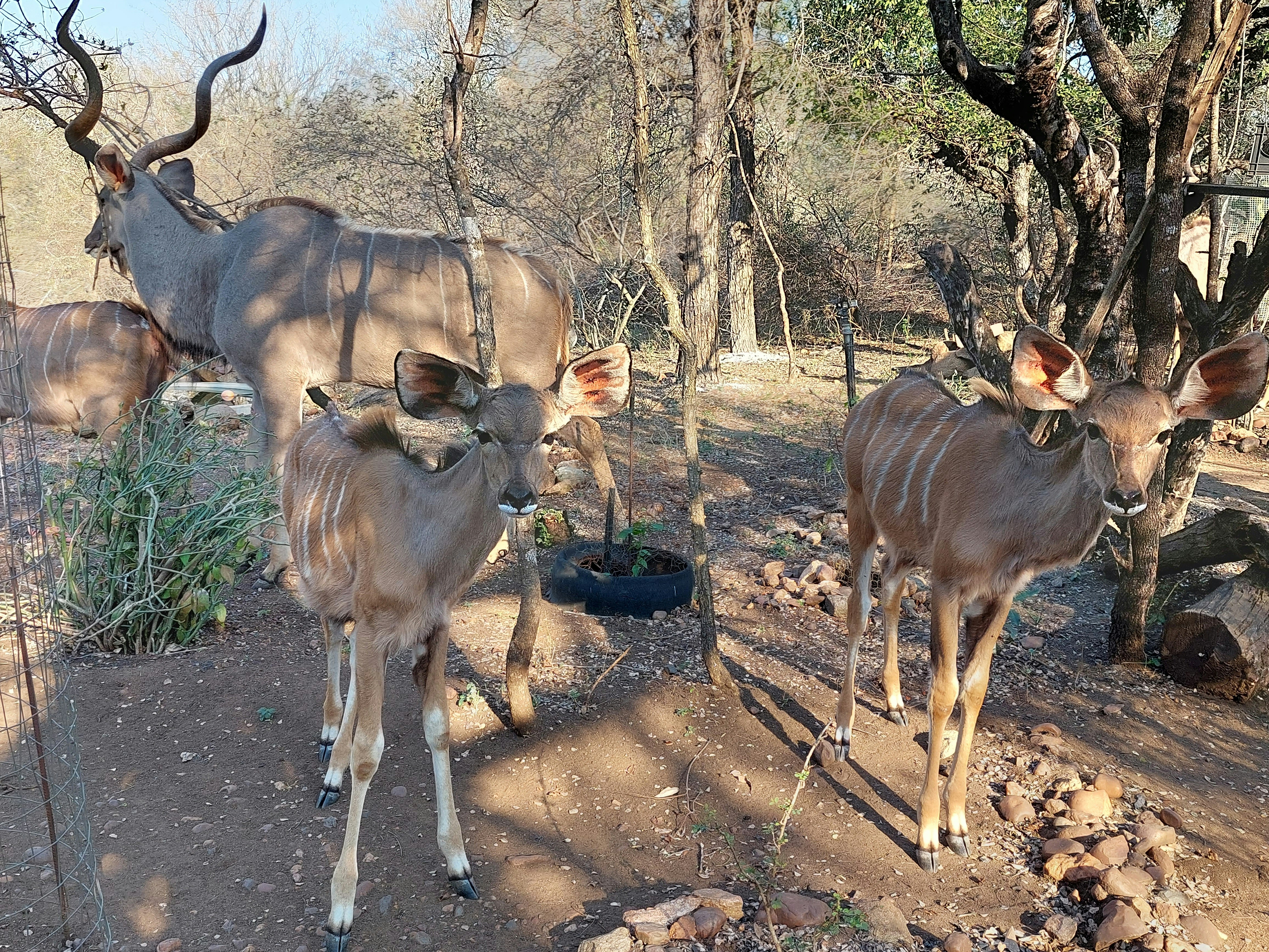 Hippoholiday | LekkeSlaap