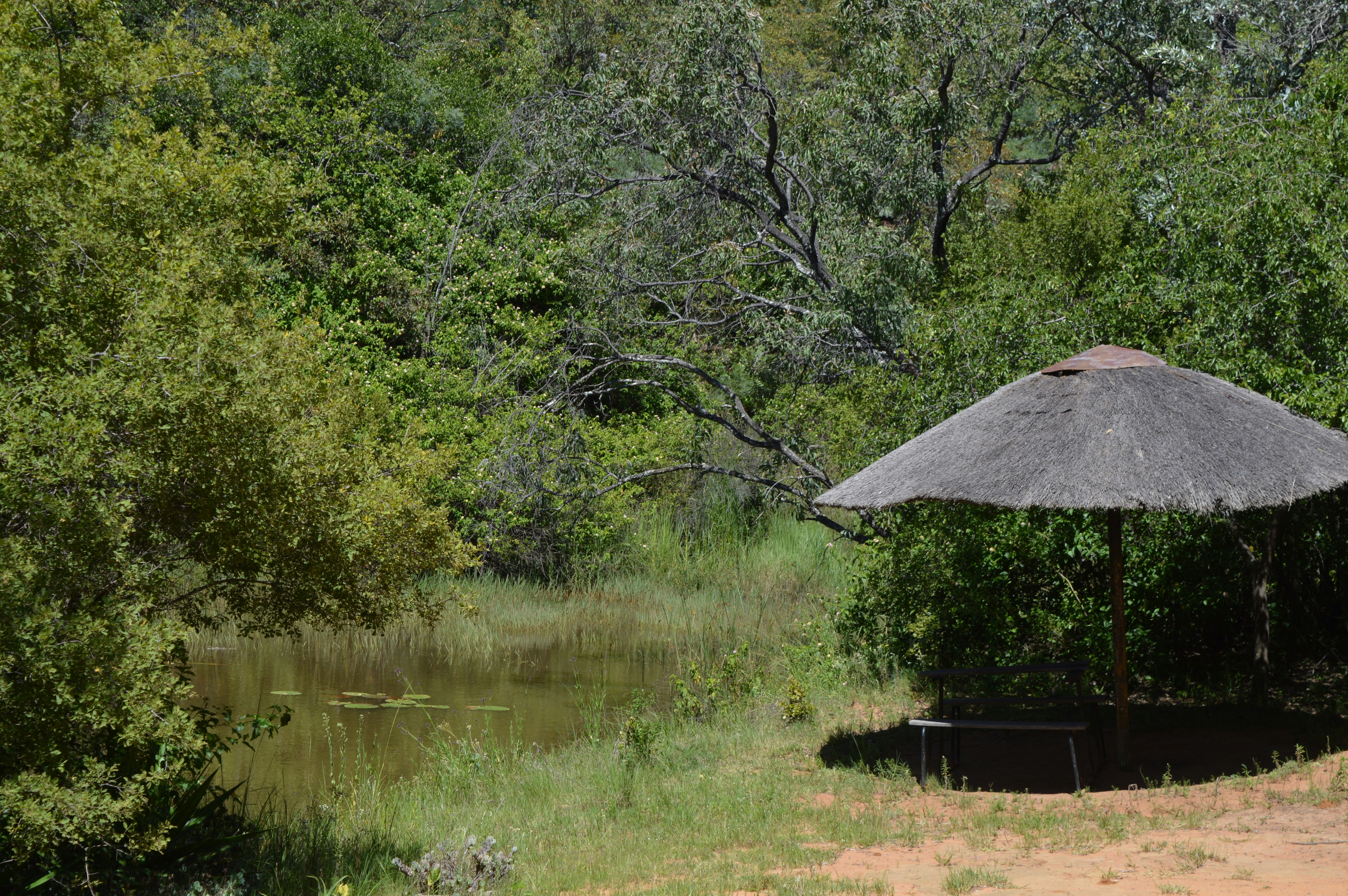 Lethabo Lodge | LekkeSlaap