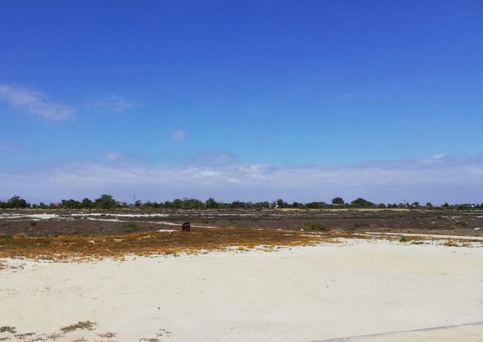 Pikkewyn | LekkeSlaap