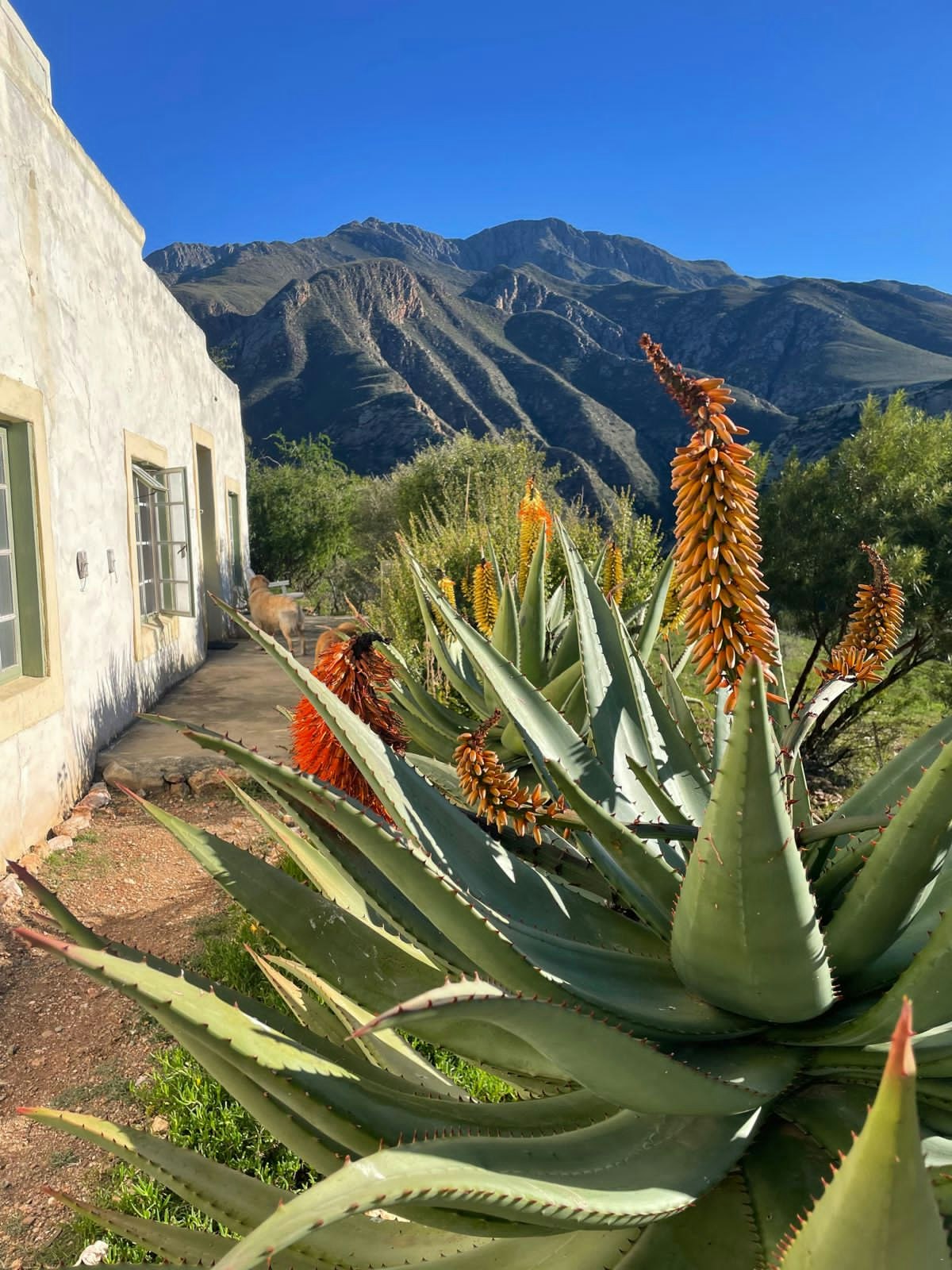 Die Poort Private Nature Reserve | Rates