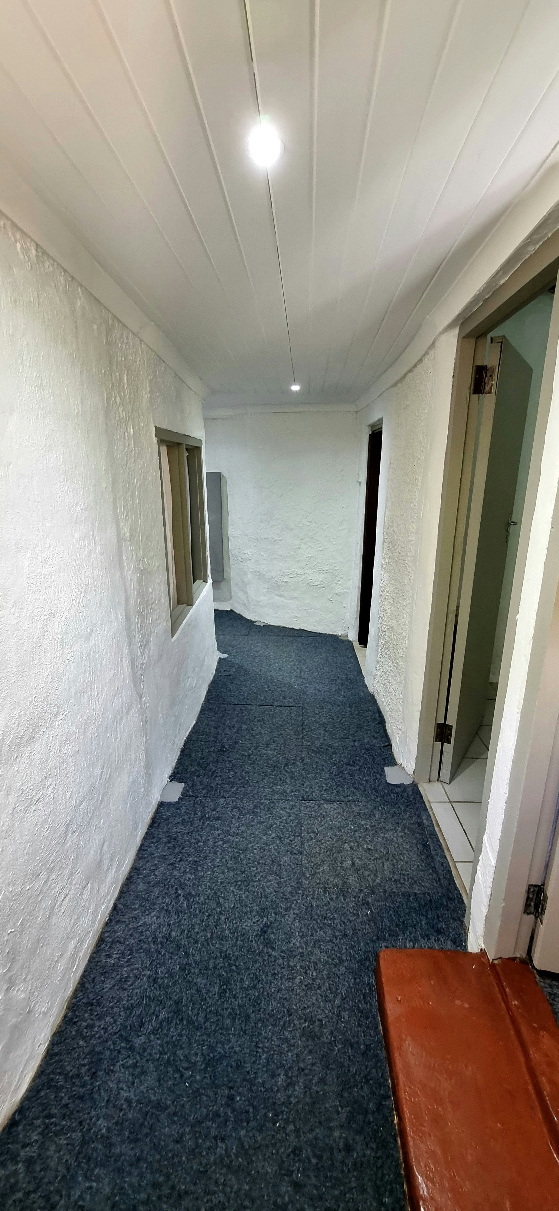 Never Daunted | LekkeSlaap