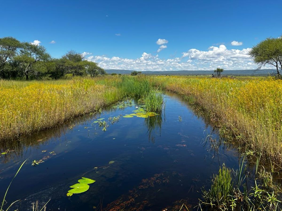 Sandfields and Forests | LekkeSlaap