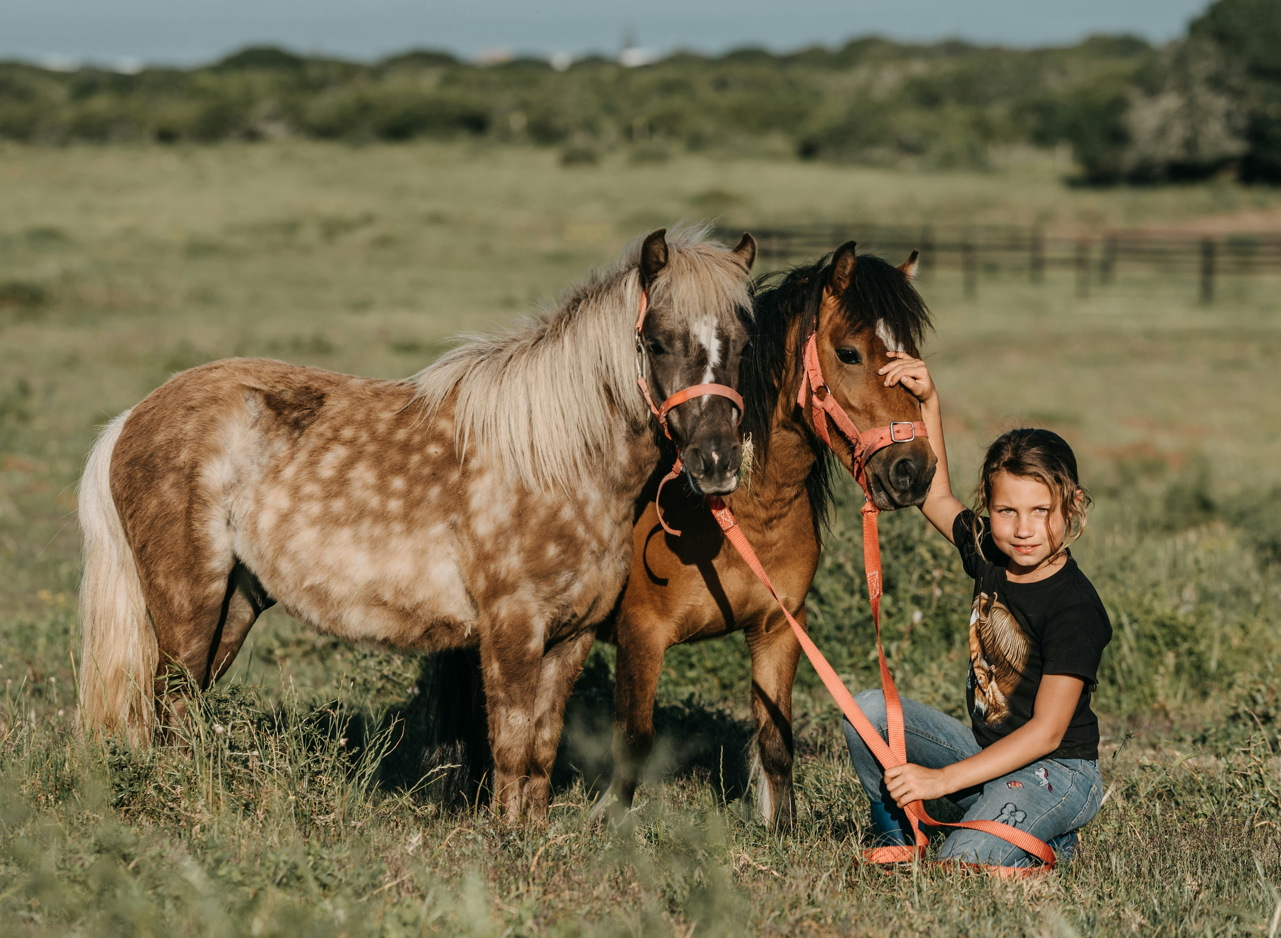 Oppi Plaas by die See | LekkeSlaap
