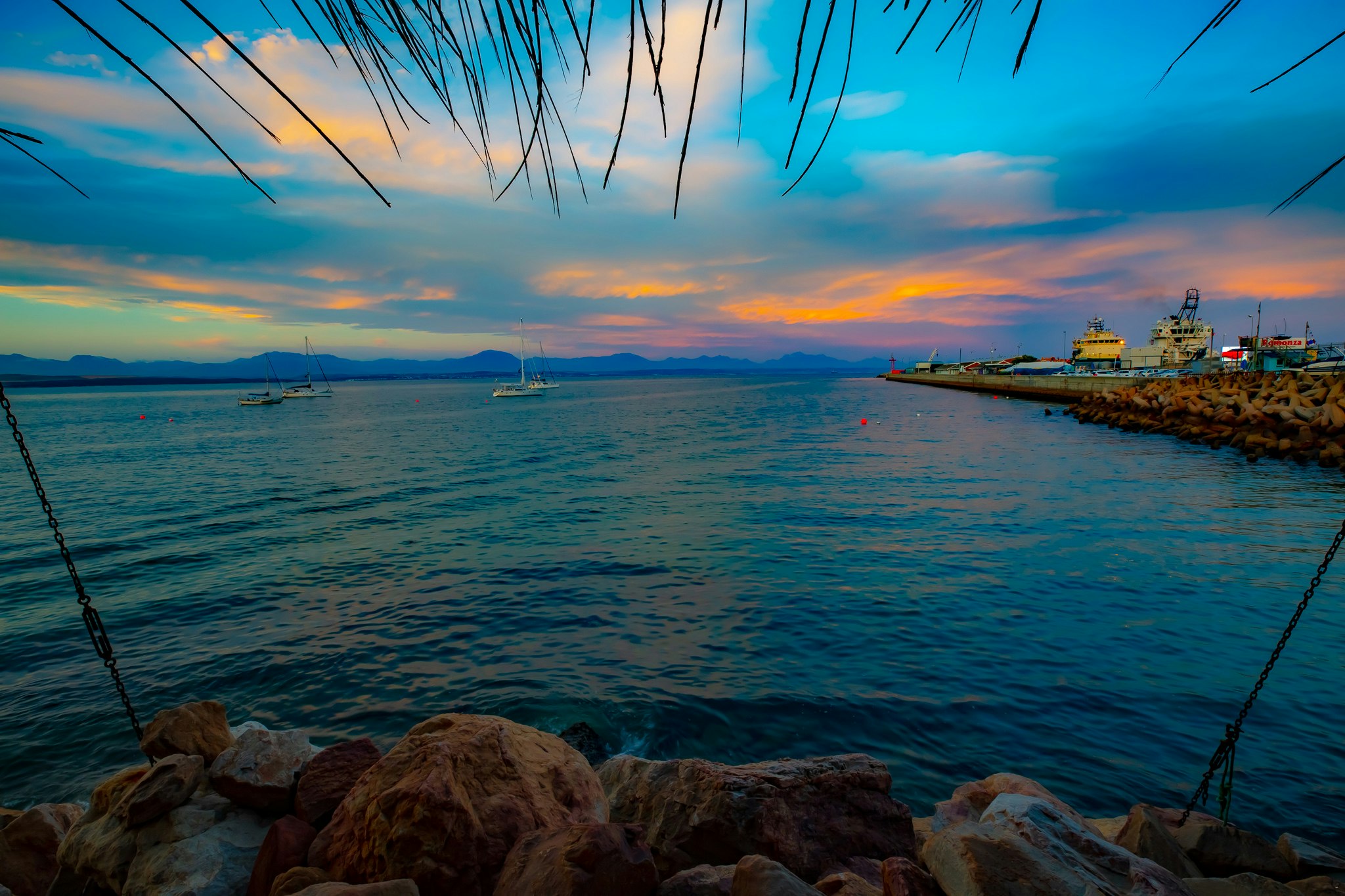 Dolfyn 302 | LekkeSlaap