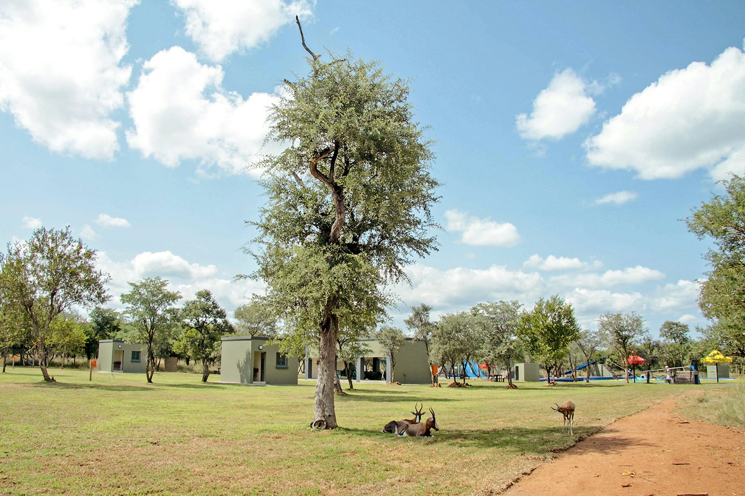 Lethabong Lodge | Rooms