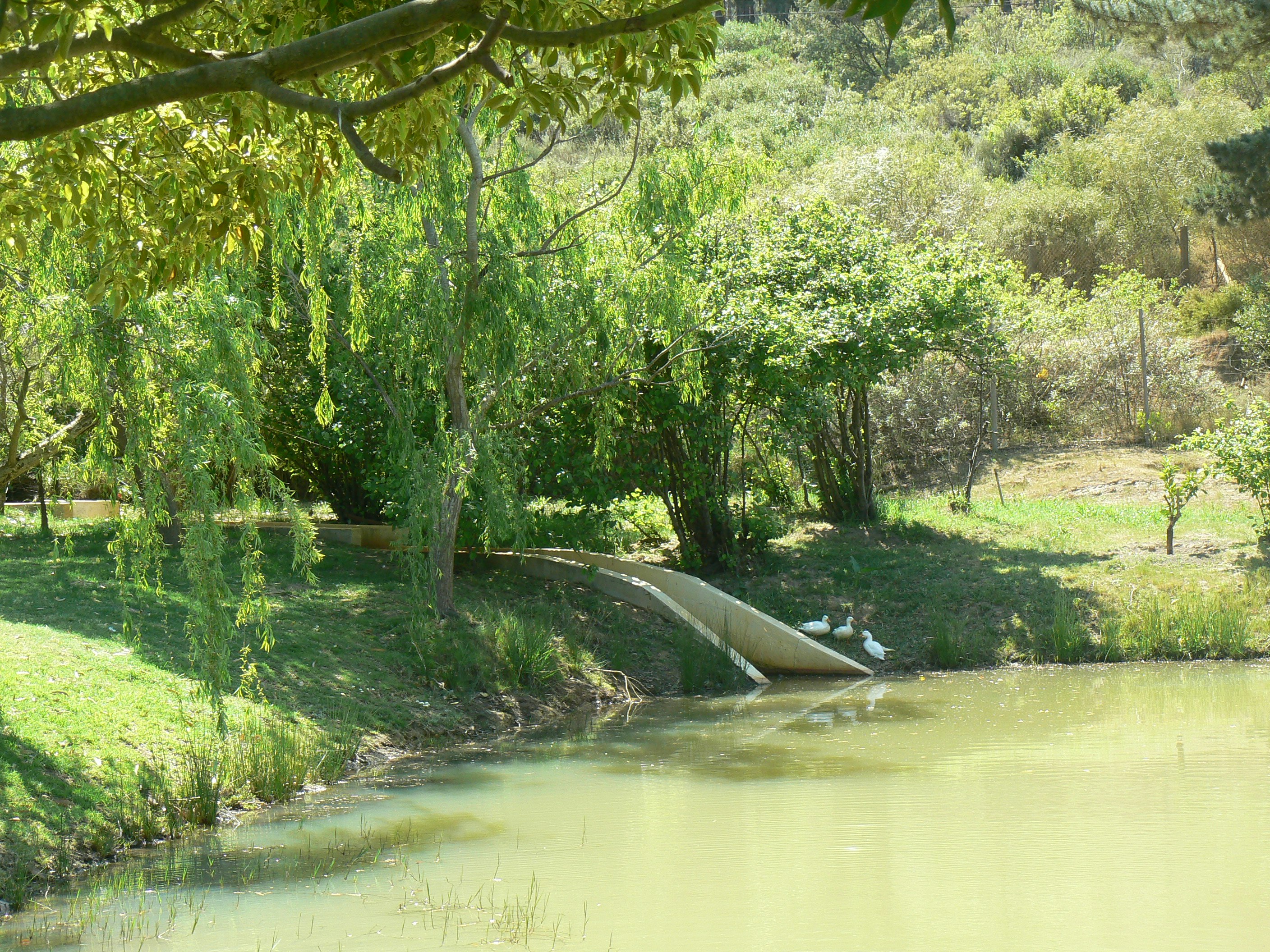 Ou Meul Farm Cottage | LekkeSlaap